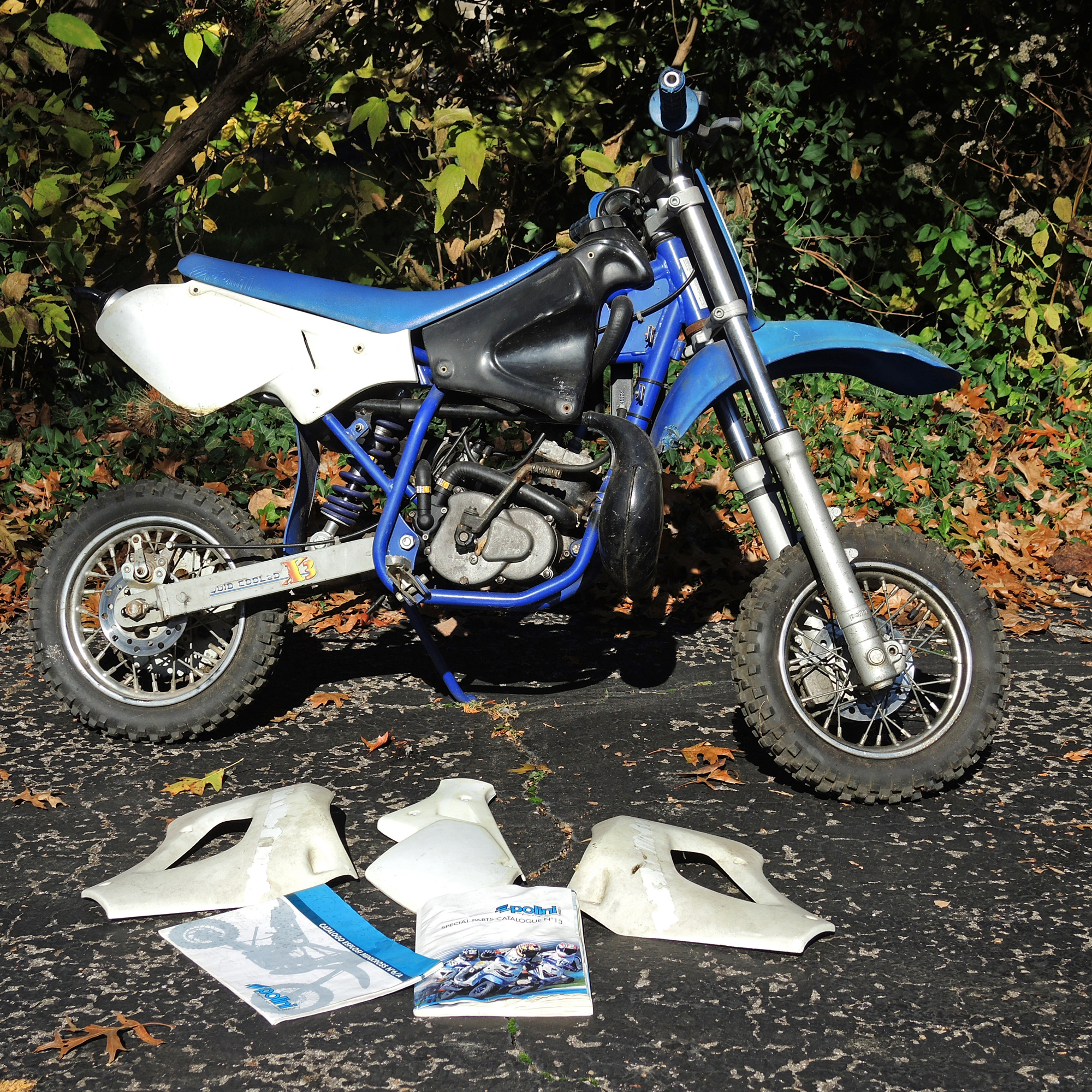 Polini 49CC Minicross X3 Motorcycle | EBTH