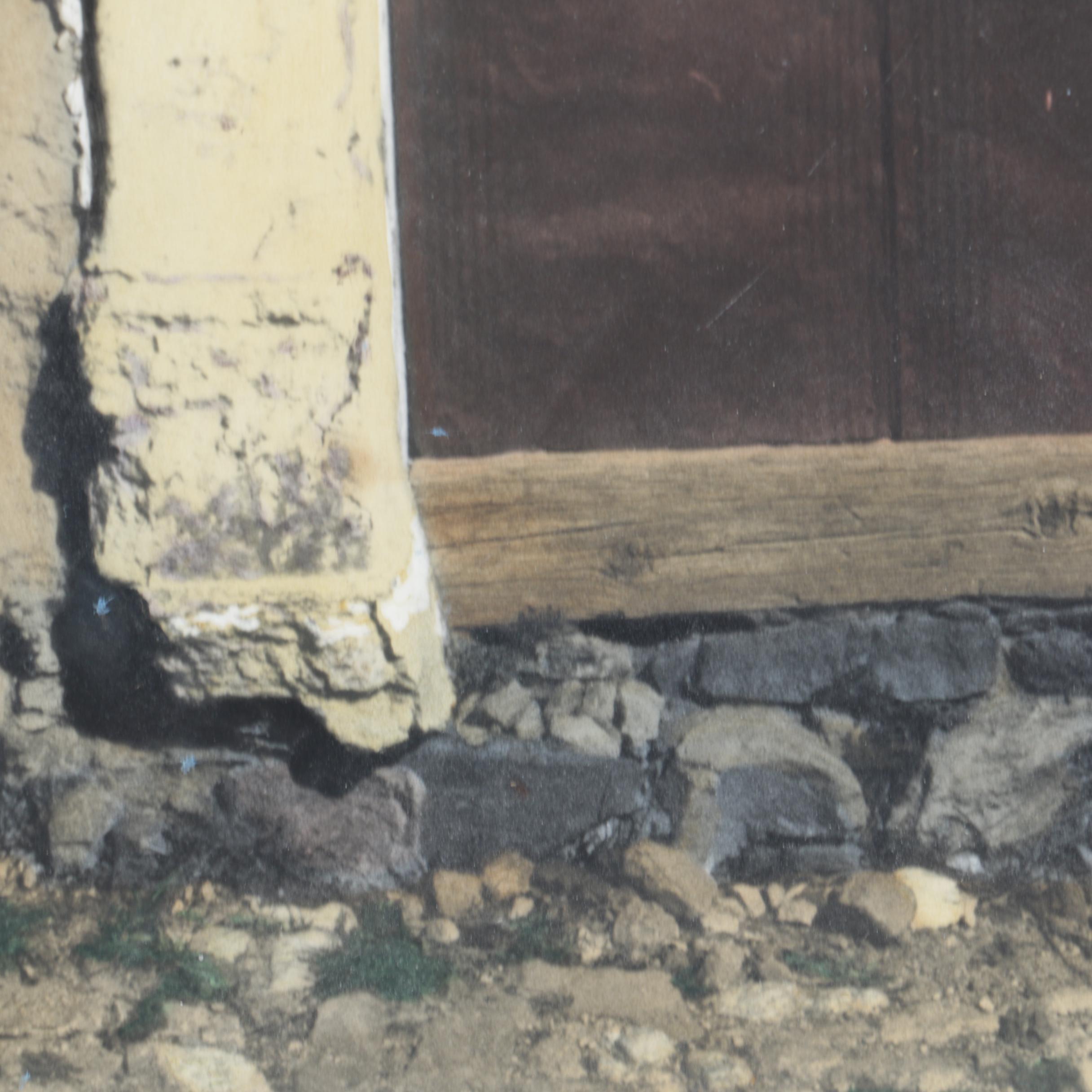 Deborah Dupont Limited Edition Albumen Print on Paper "Casa de Rosa" | EBTH