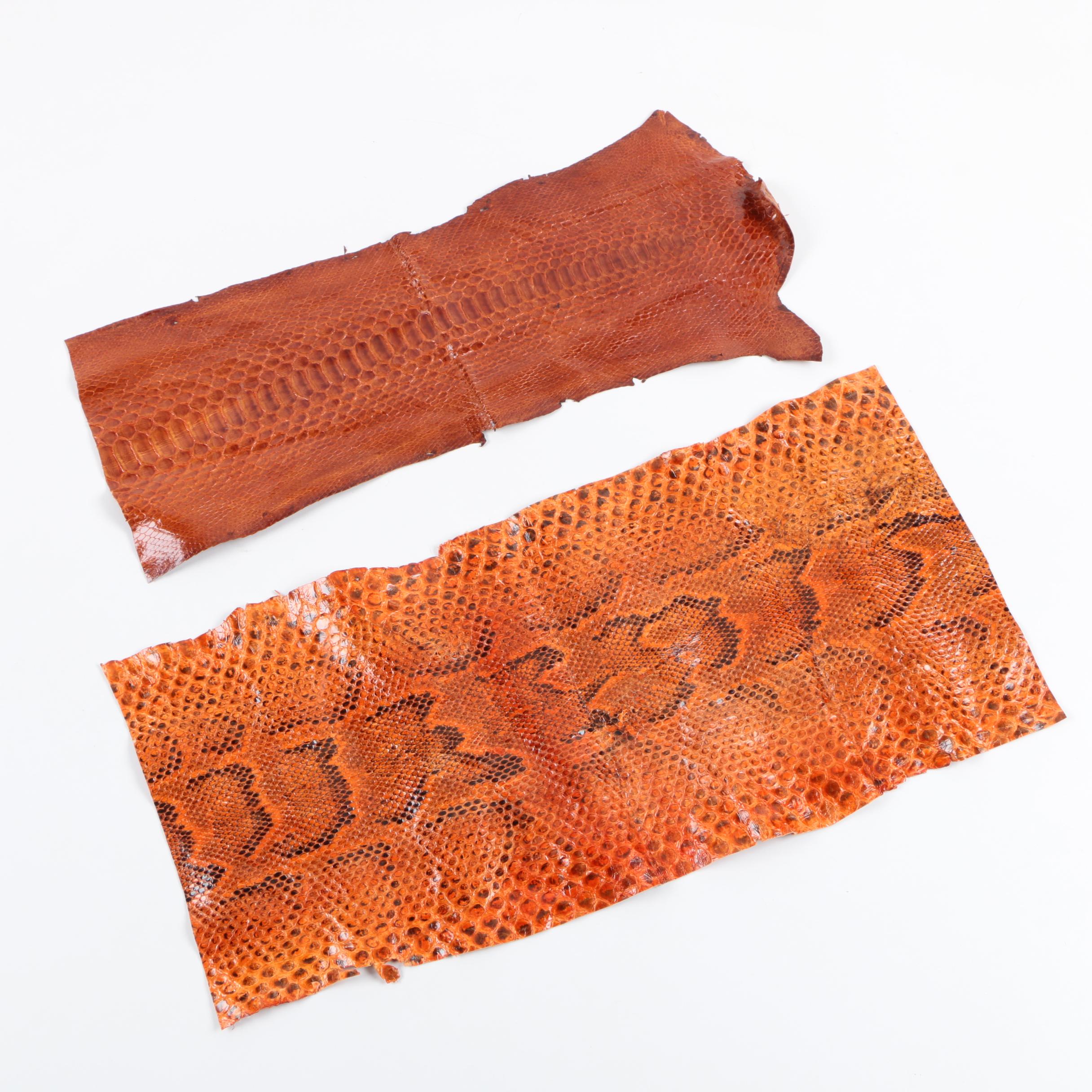 Snakeskin Hides Including Python | EBTH