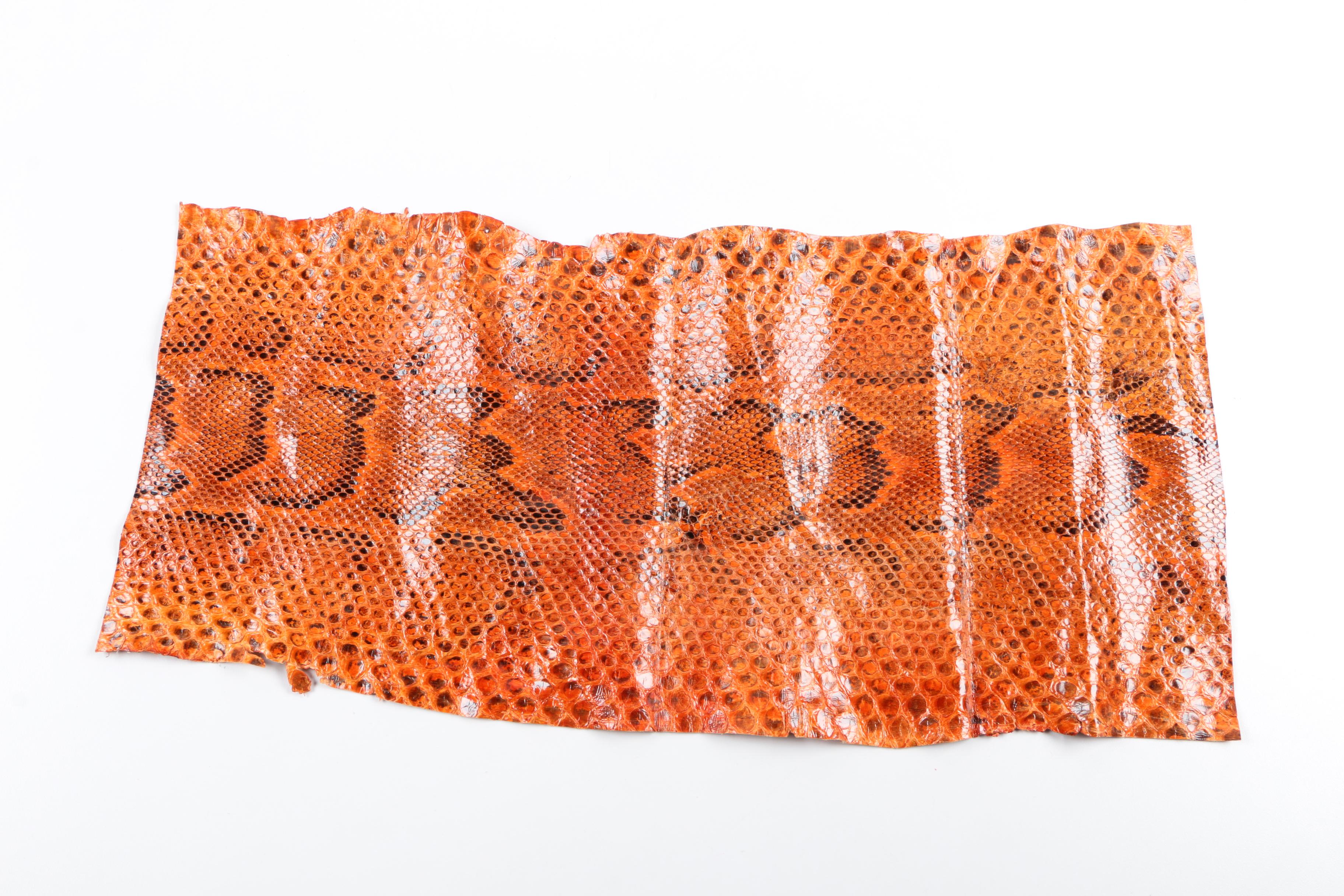 Snakeskin Hides Including Python | EBTH