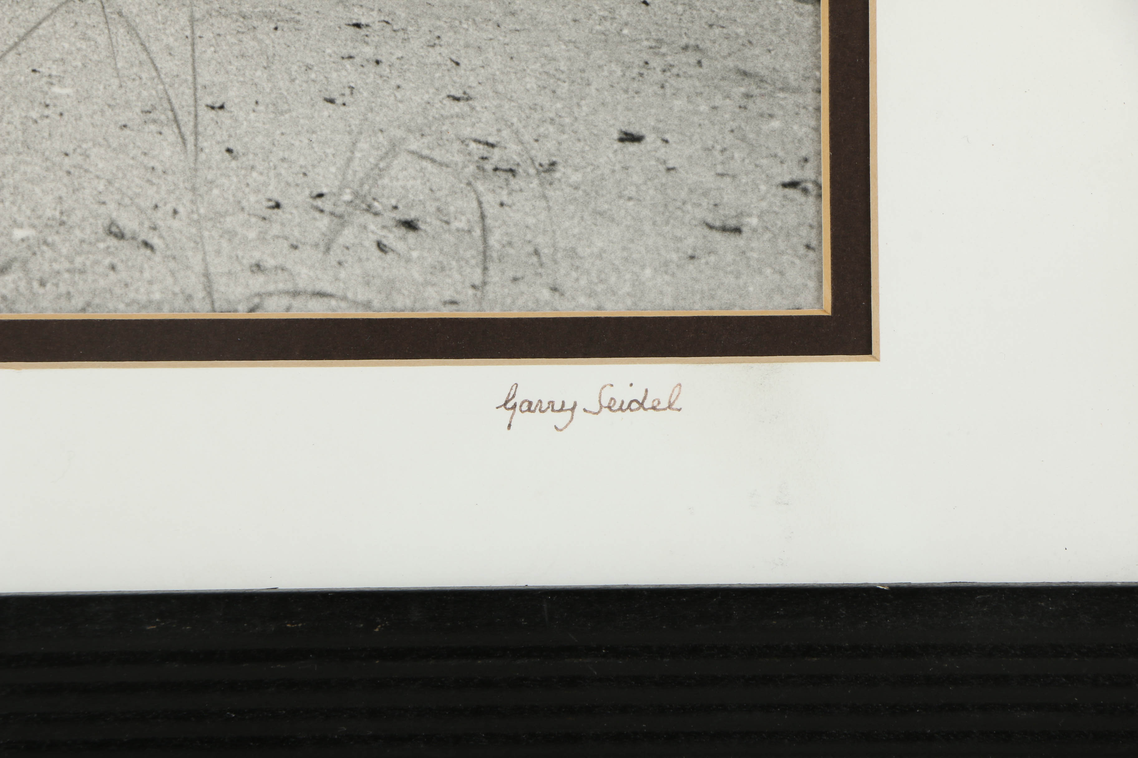 Garry Seidel Analog Photograph "Melissa" | EBTH