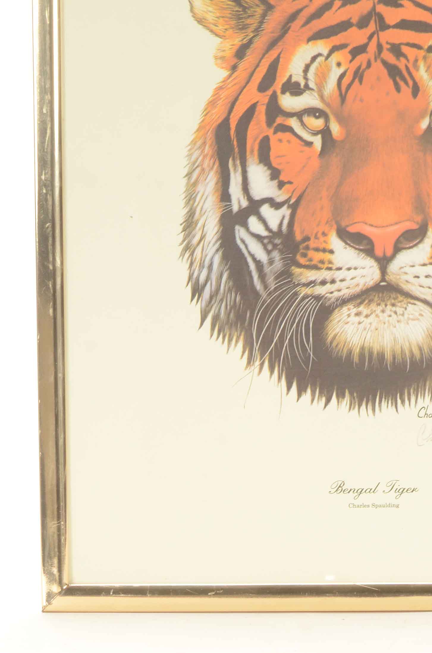 Charles Spaulding Limited Edition Offset Lithograph "Bengal Tiger" | EBTH