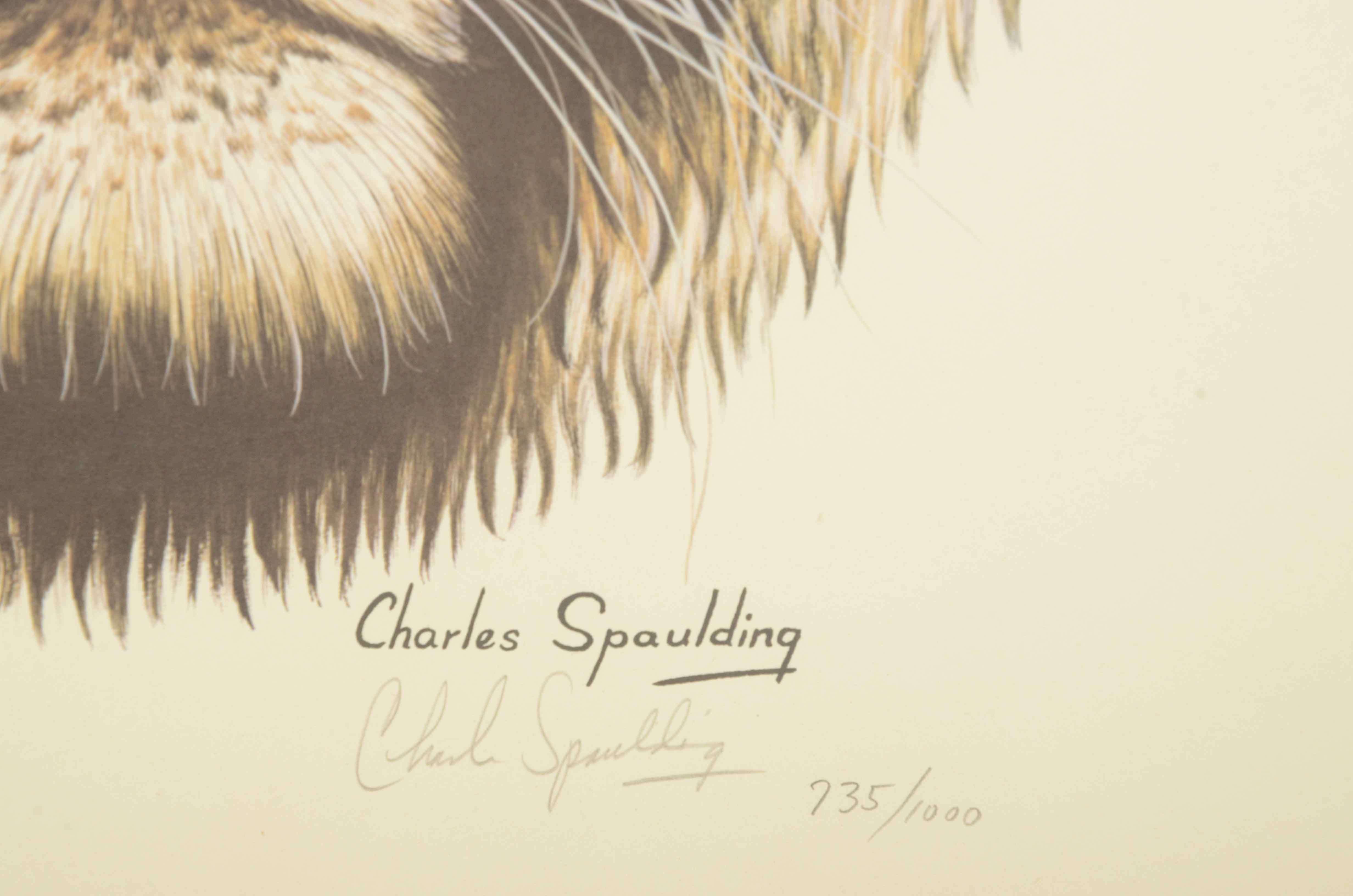 Charles Spaulding Limited Edition Offset Lithograph "Bengal Tiger" | EBTH