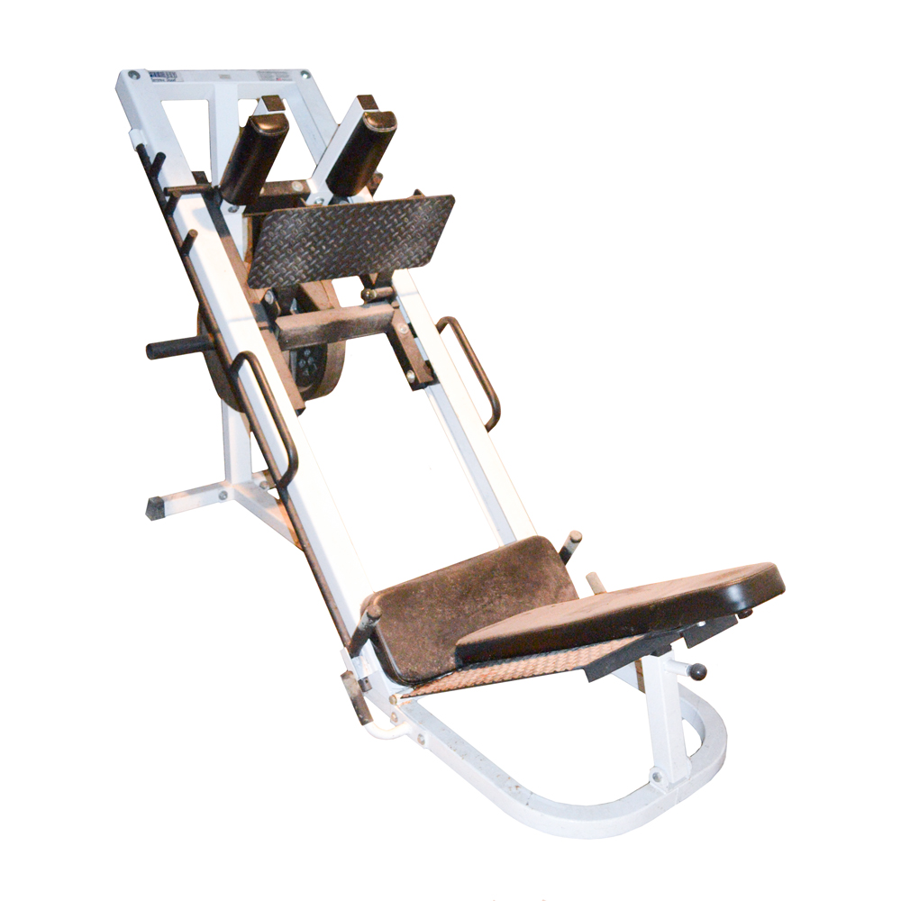 Parabody Hack Squat/Leg Press Machine | EBTH