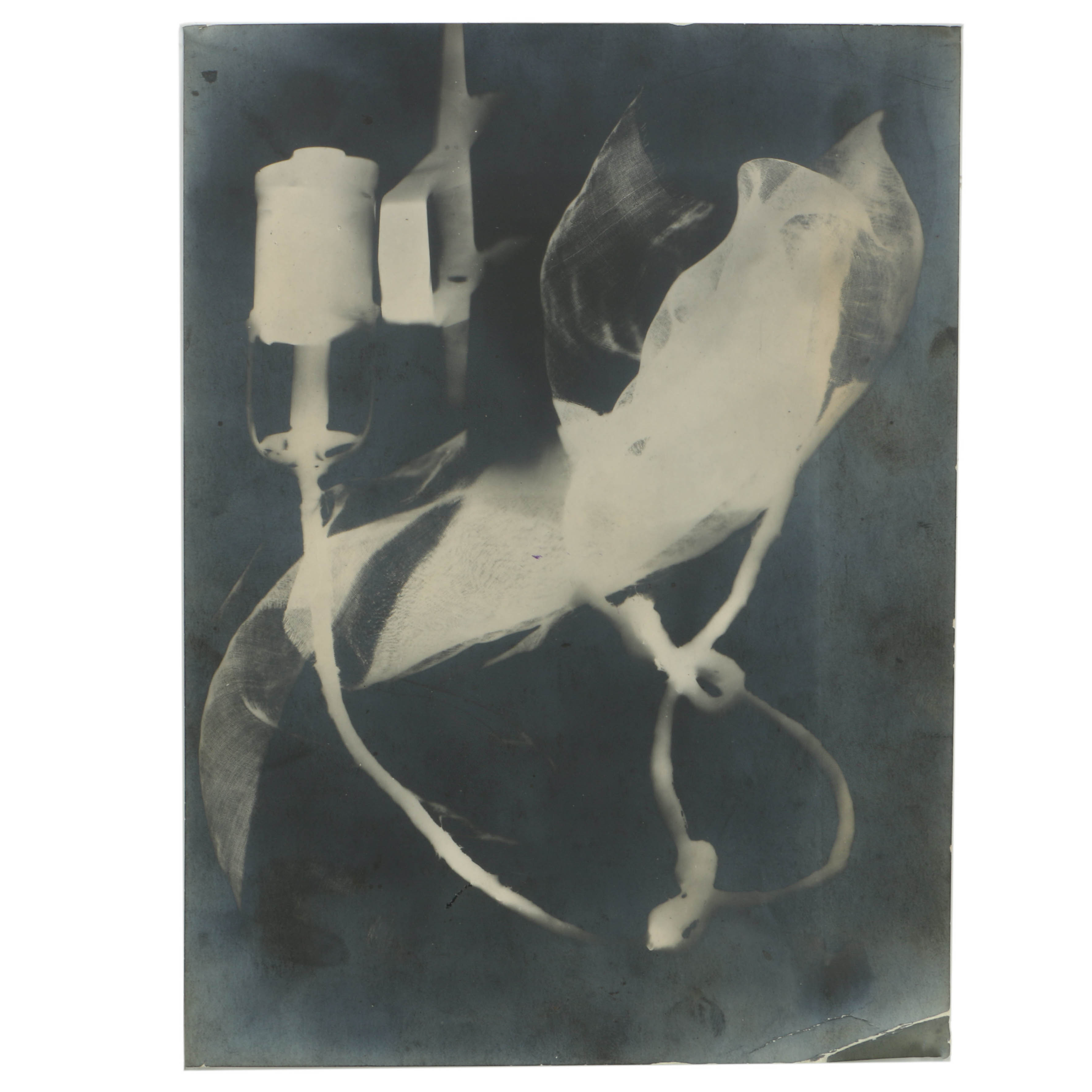 Man Ray 1922 Silver-Gelatin Rayograph from "Les champs délicieux" | EBTH