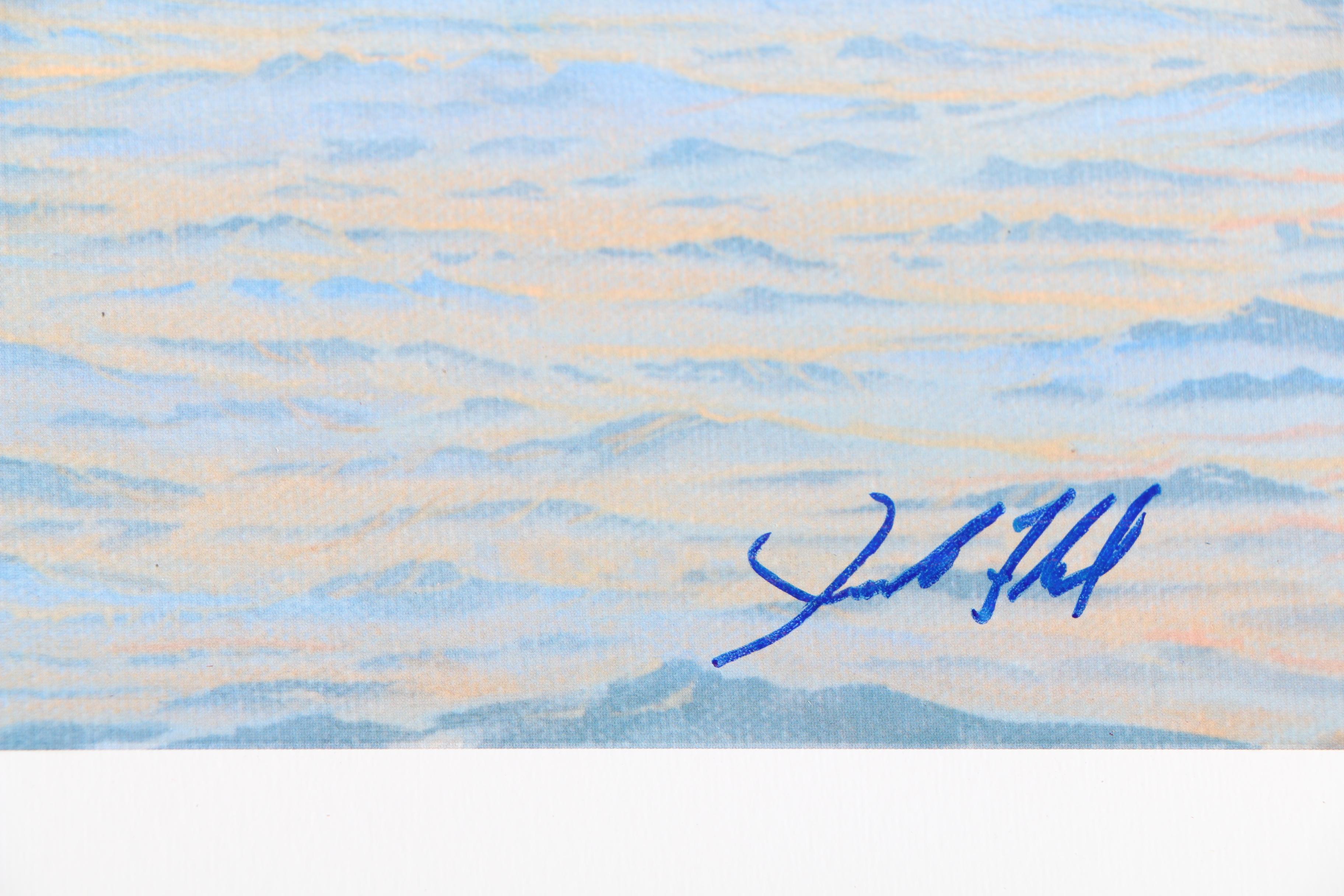 James Flood Limited Edition Seriolithograph "Norwegian Sky" | EBTH