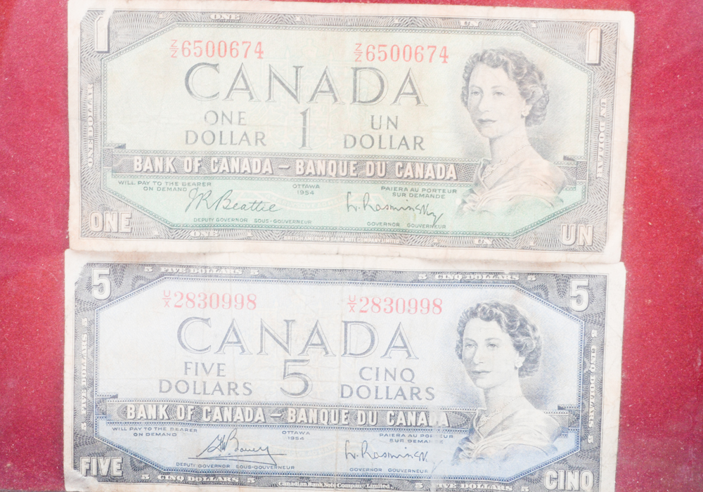 Canadian Currency Display | EBTH