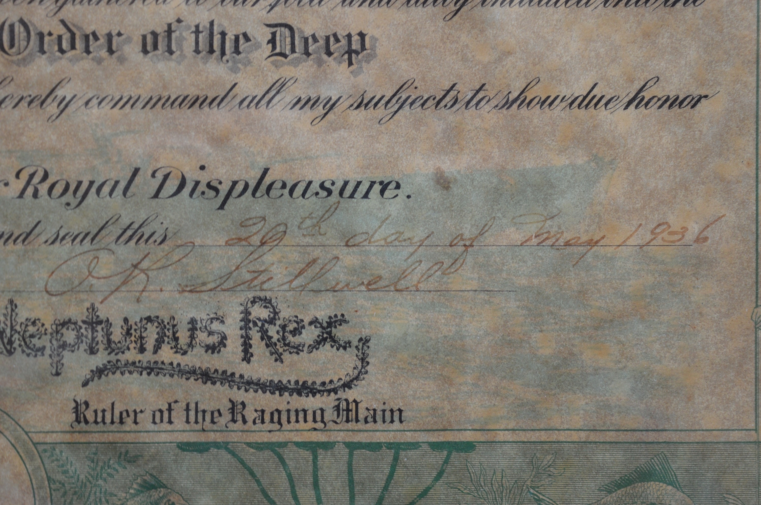 United States Navy USS Arizona Shellback Certificate | EBTH