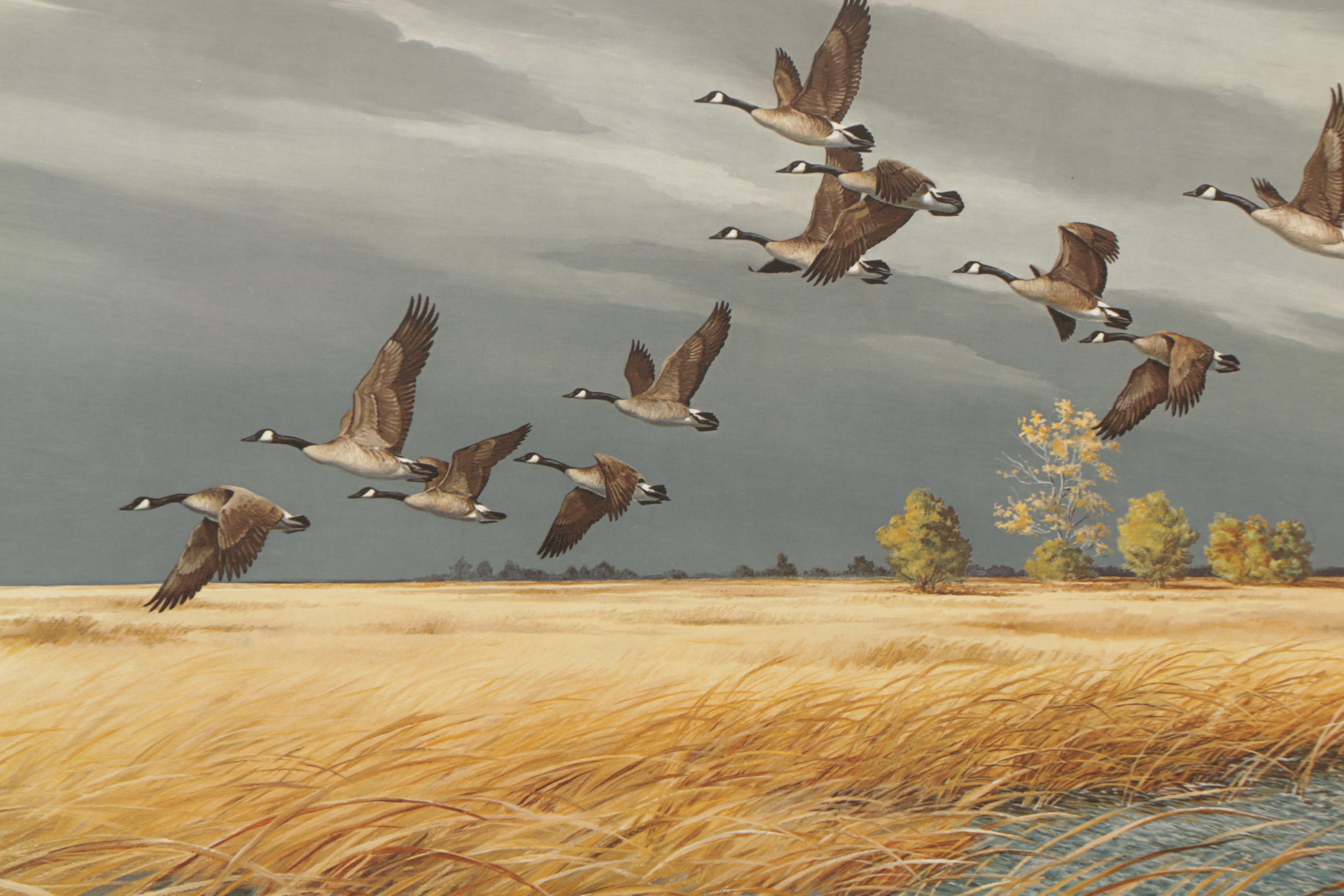 Maynard Reece Limited Edition Offset Lithograph "Canada Geese" | EBTH