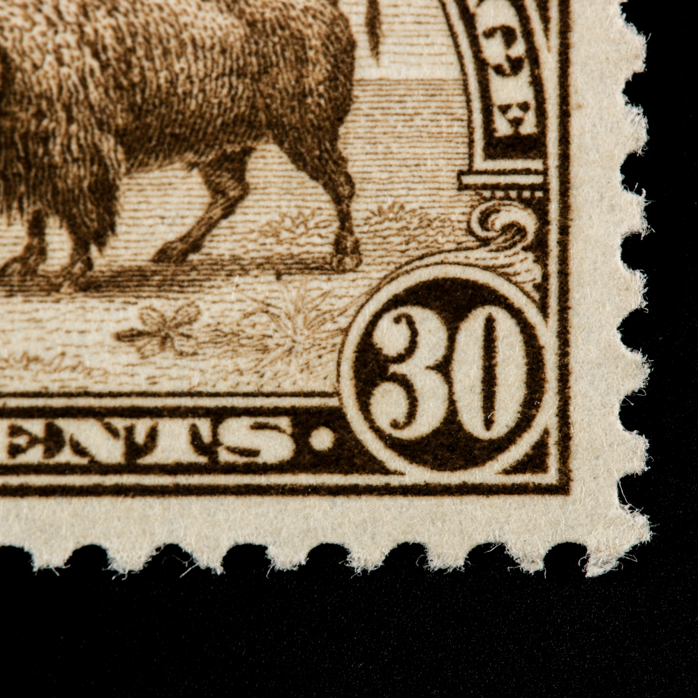 1931 United States Bison Postage Stamp Scott #700 | EBTH