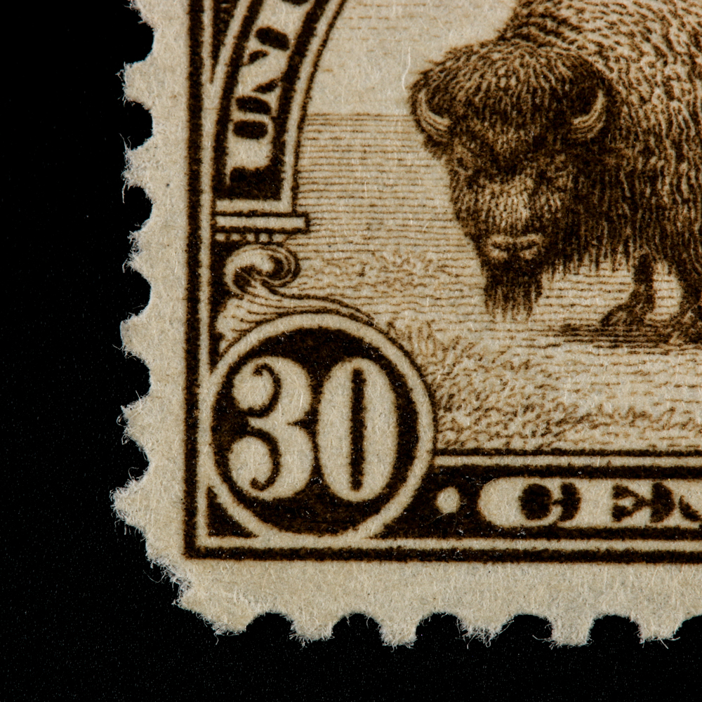 1931 United States Bison Postage Stamp Scott #700 | EBTH