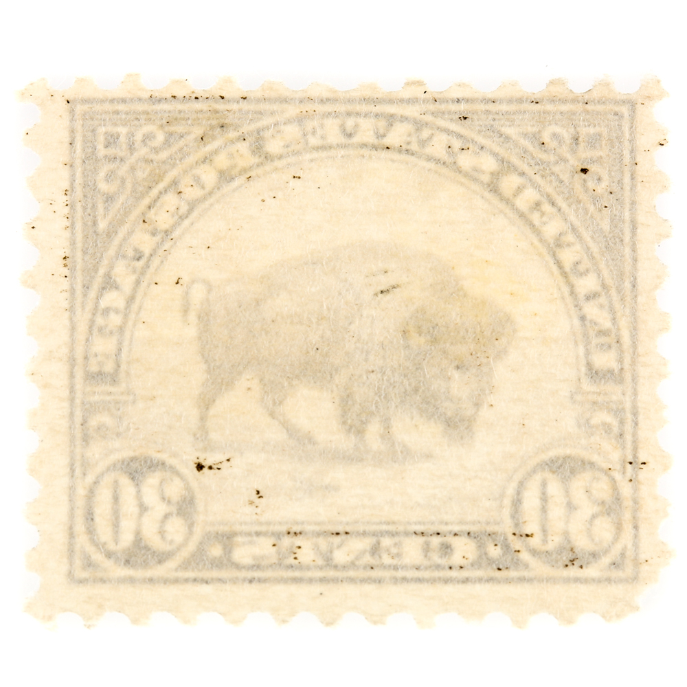 1931 United States Bison Postage Stamp Scott #700 | EBTH