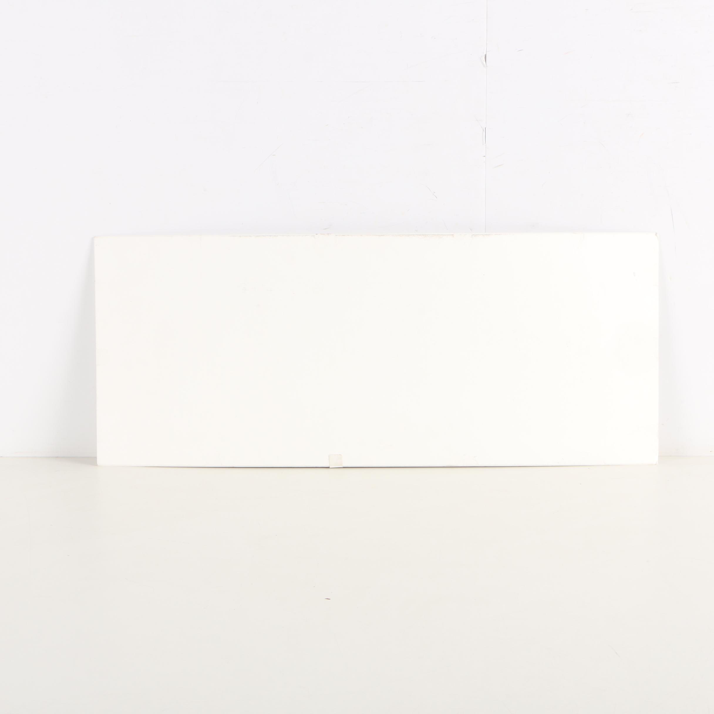 Richard Calvo Photographs "Canada Geese" and "New York Before Sunrise ...