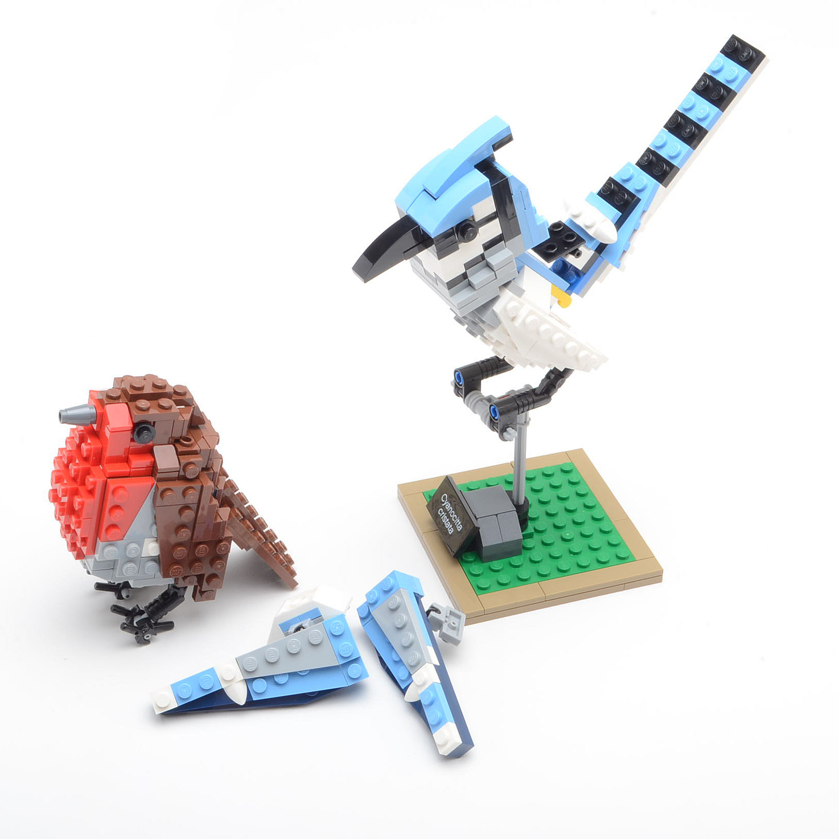 Lego "Birds" Set | EBTH