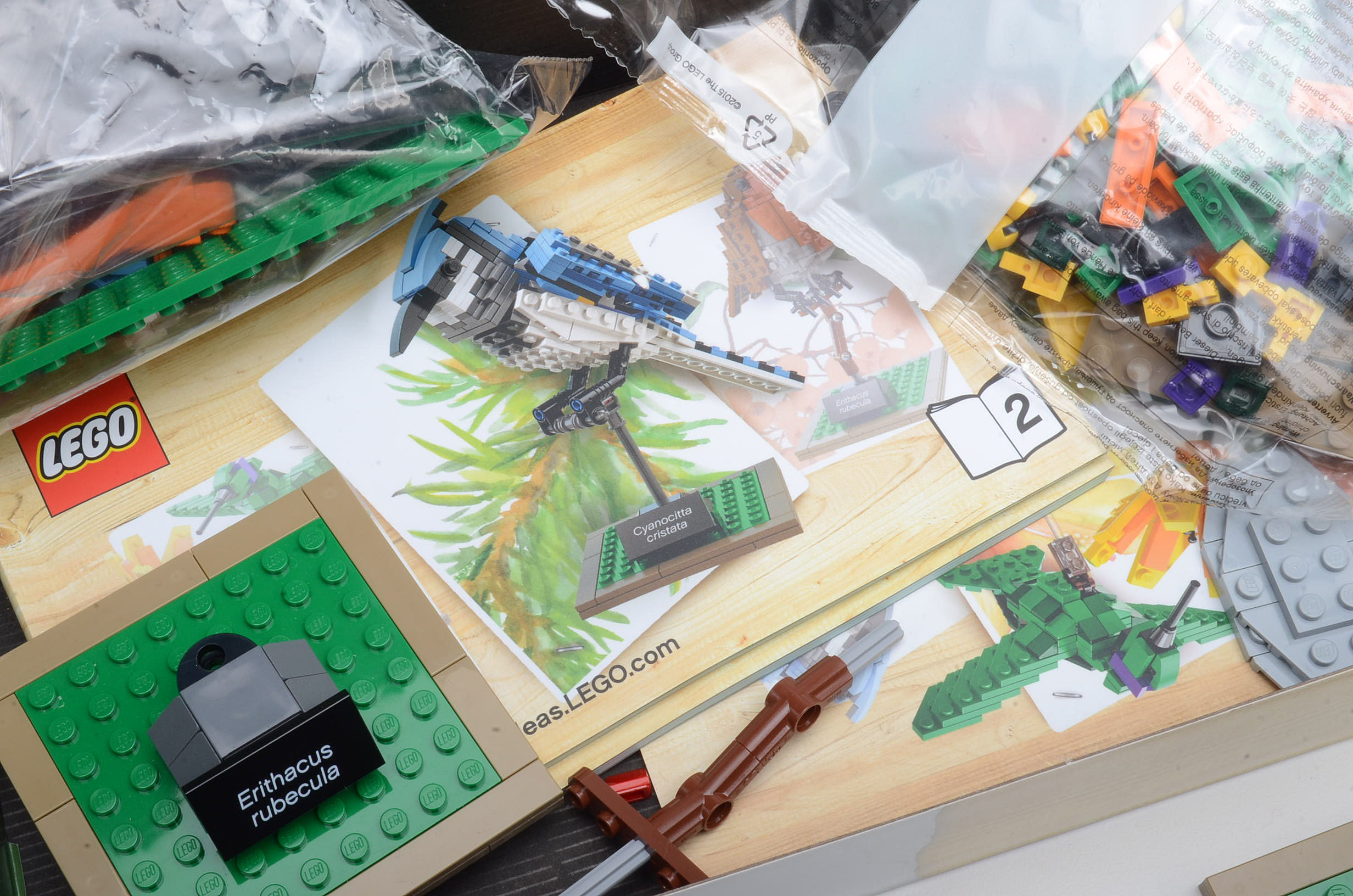 Lego "Birds" Set | EBTH