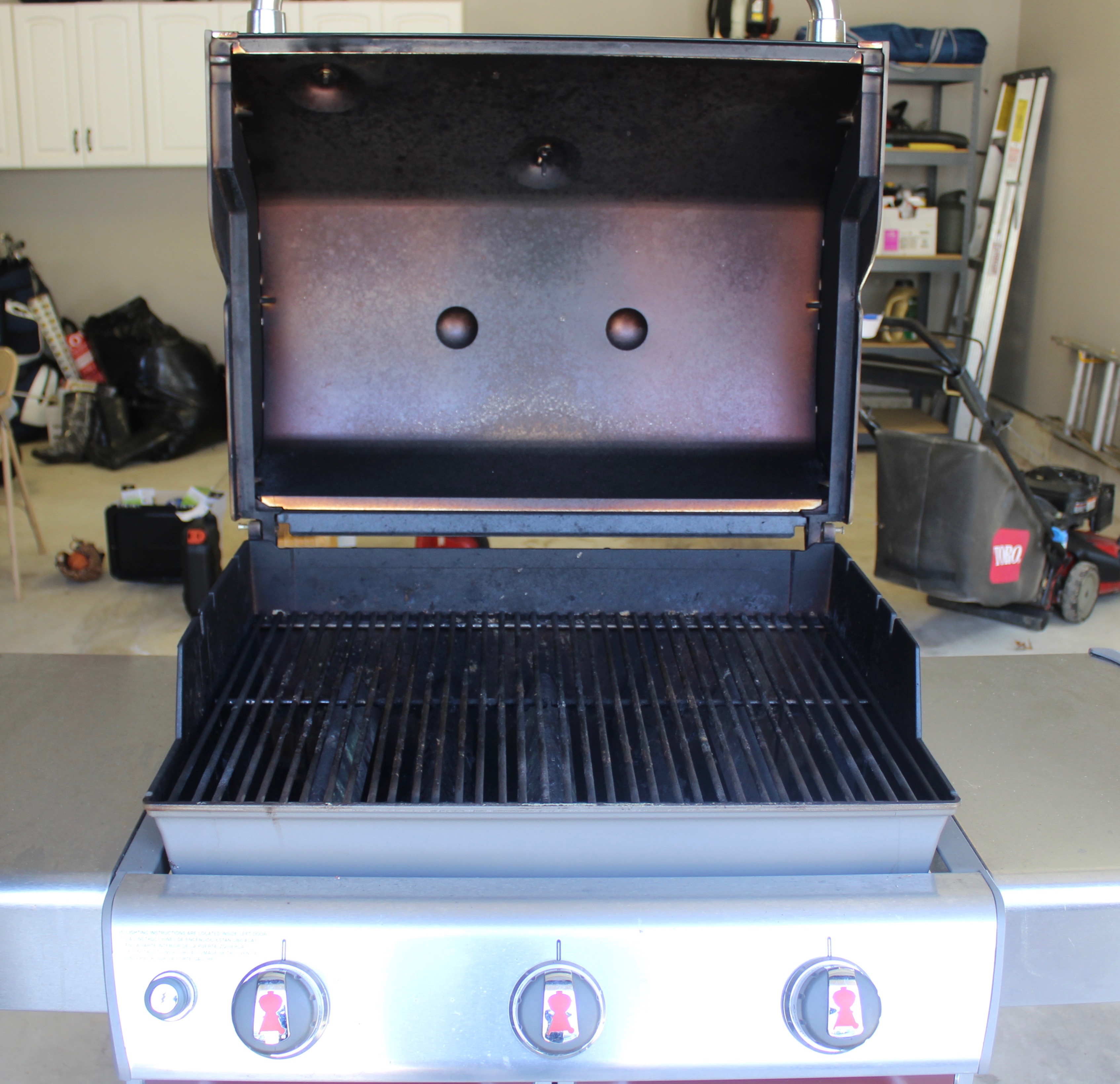 Weber Genesis Special Edition Outdoor Grill | EBTH