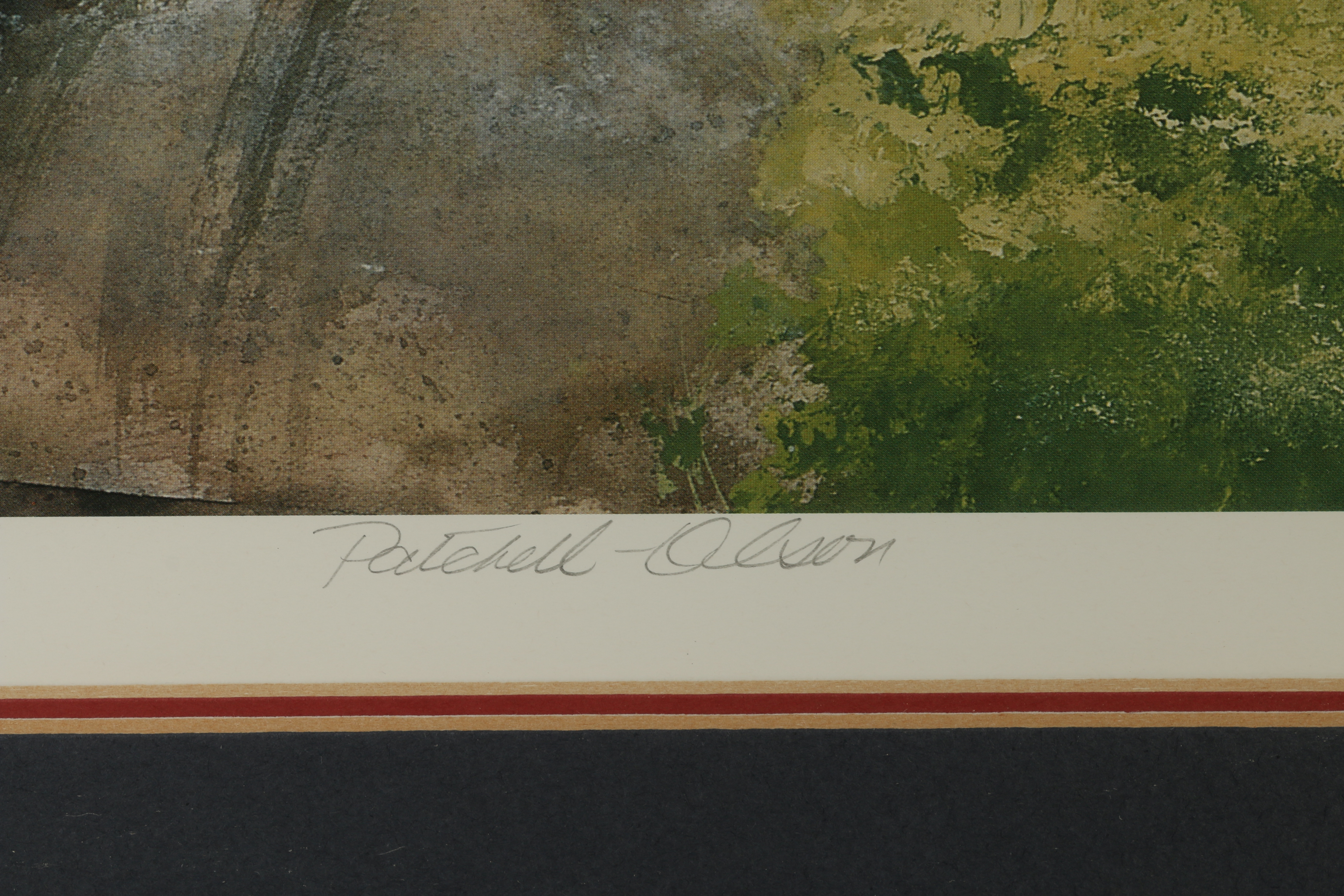 Denise Patchell-Olson Limited Edition Offset Lithograph of New England ...