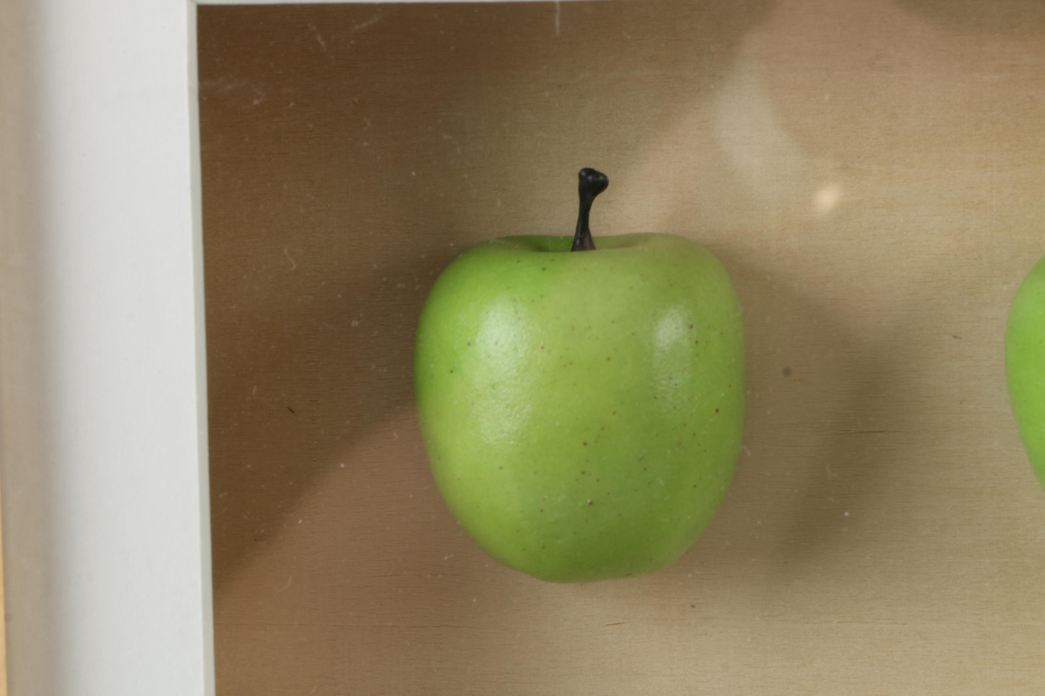 Green Apple Themed Shadow Box | EBTH
