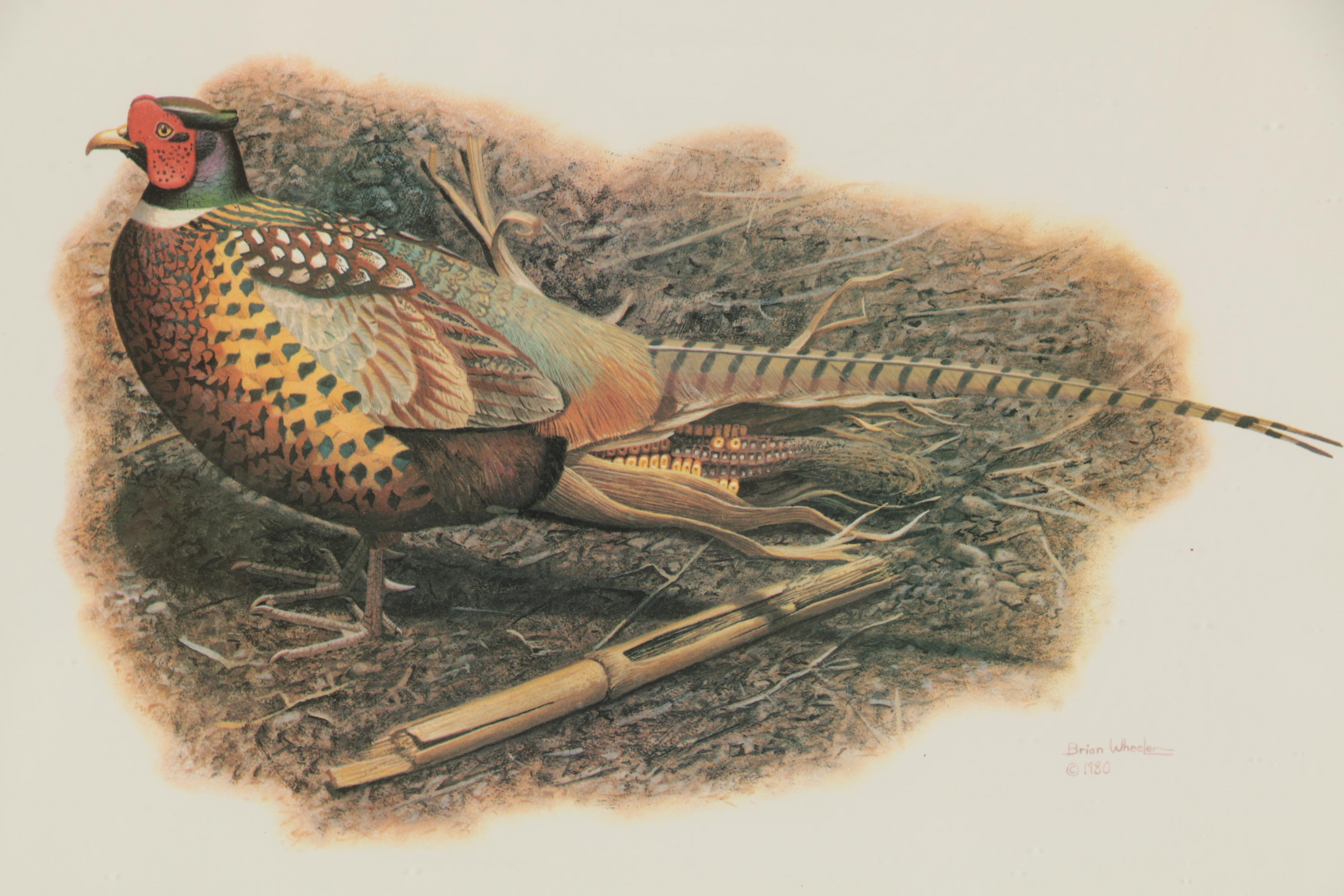 Offset Lithographs After Brian Wheeler's Paintings of Pheasants | EBTH