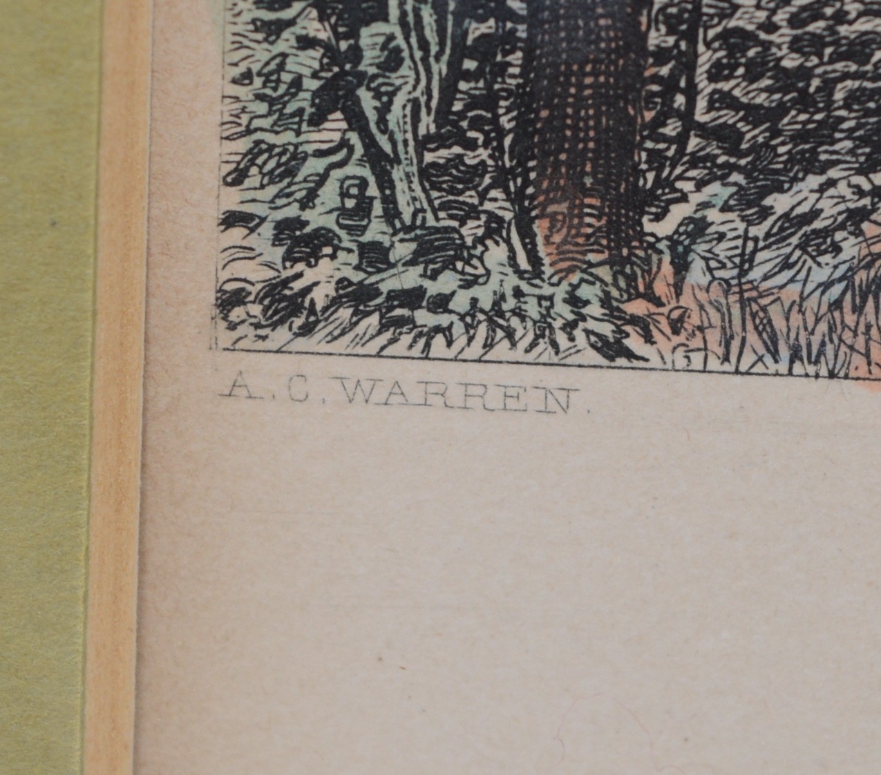 Hand Colored Engraving | EBTH