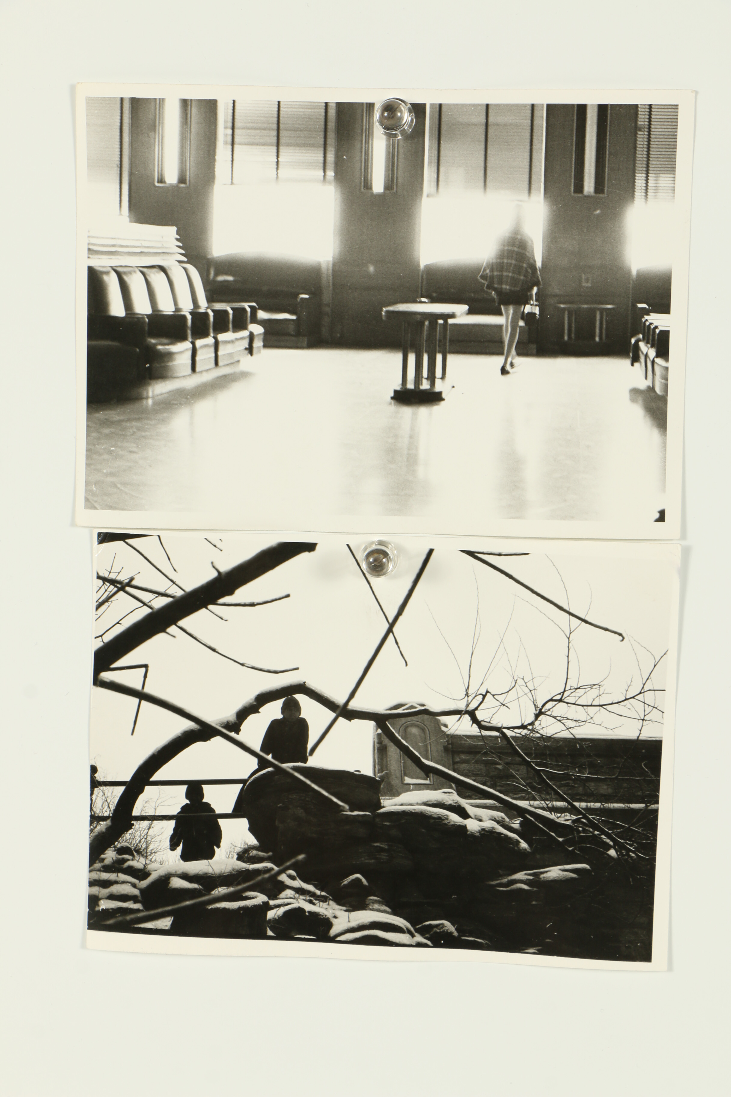 Merle Rosen Silver Print Photographs | EBTH