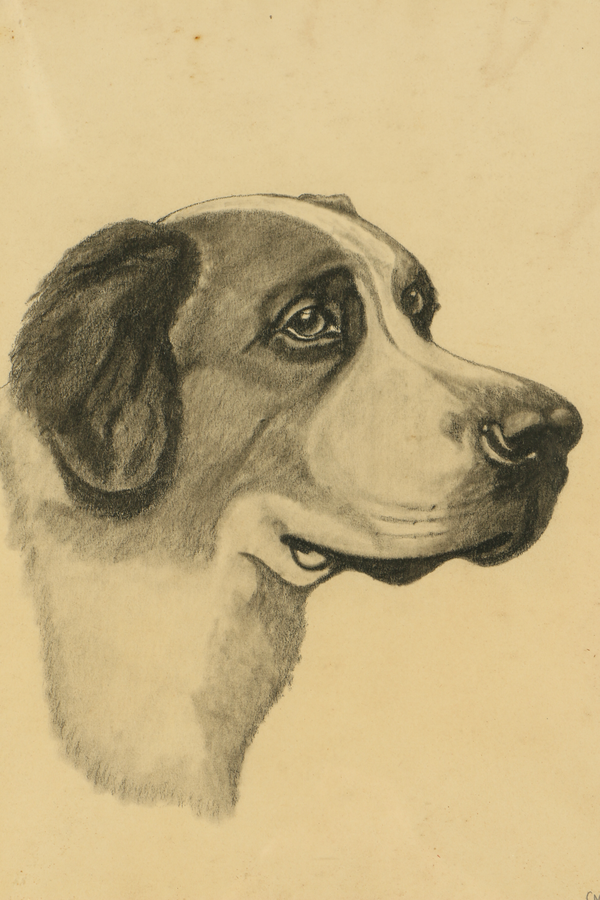 Early 20th Century Graphite Drawing | EBTH
