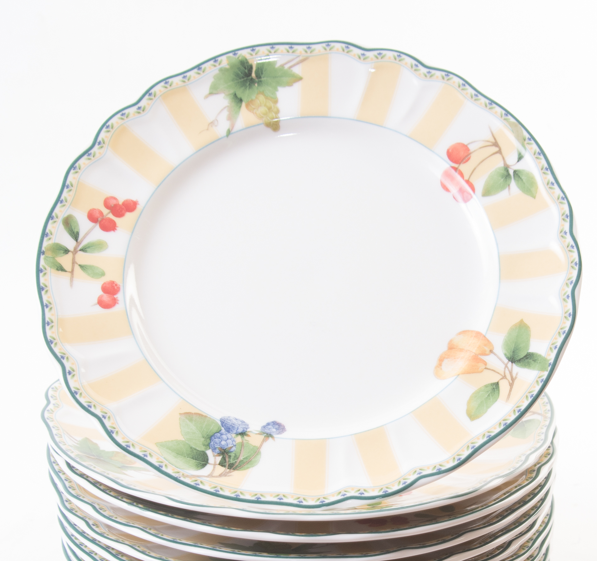 Epoch Collection "Orchard Valley" Dinner Plates | EBTH