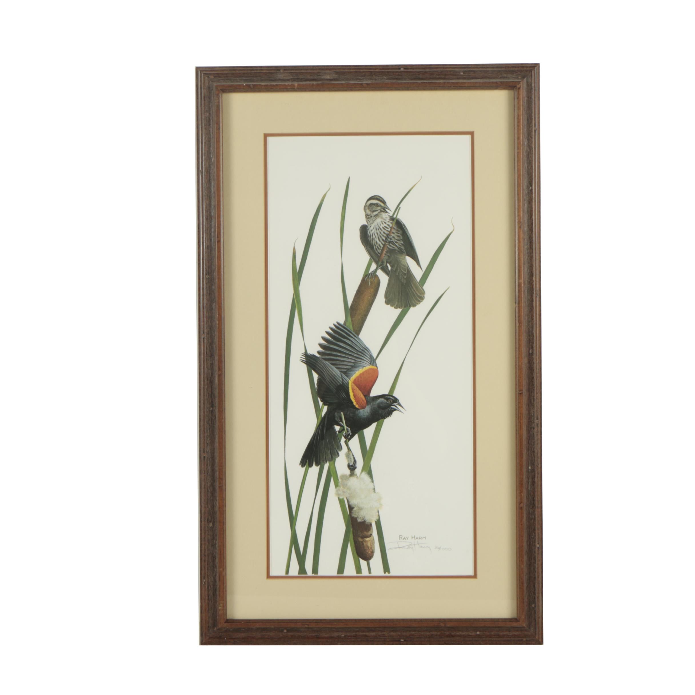 Ray Harm Limited Edition Offset LIthograph "Red-Winged Blackbird" | EBTH