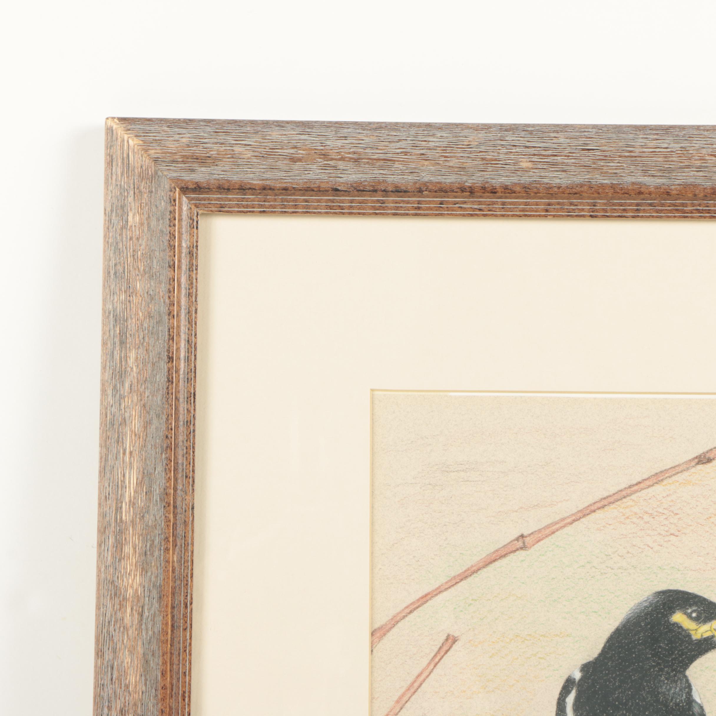 David Cochran Colored Pencil Drawing | EBTH