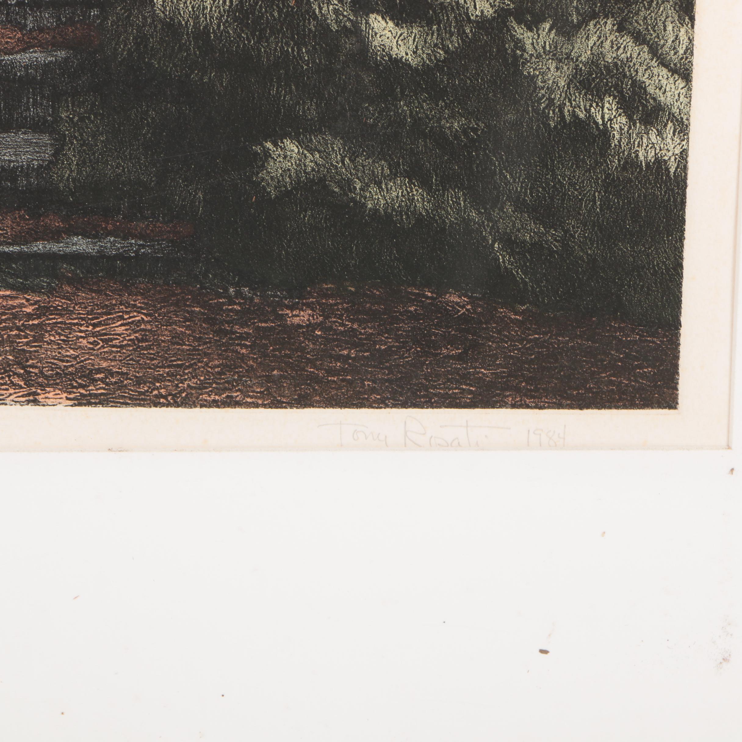 Tony Rosati 1984 Artist Proof Hand-Colored Etching "Alverthorpe Garden ...