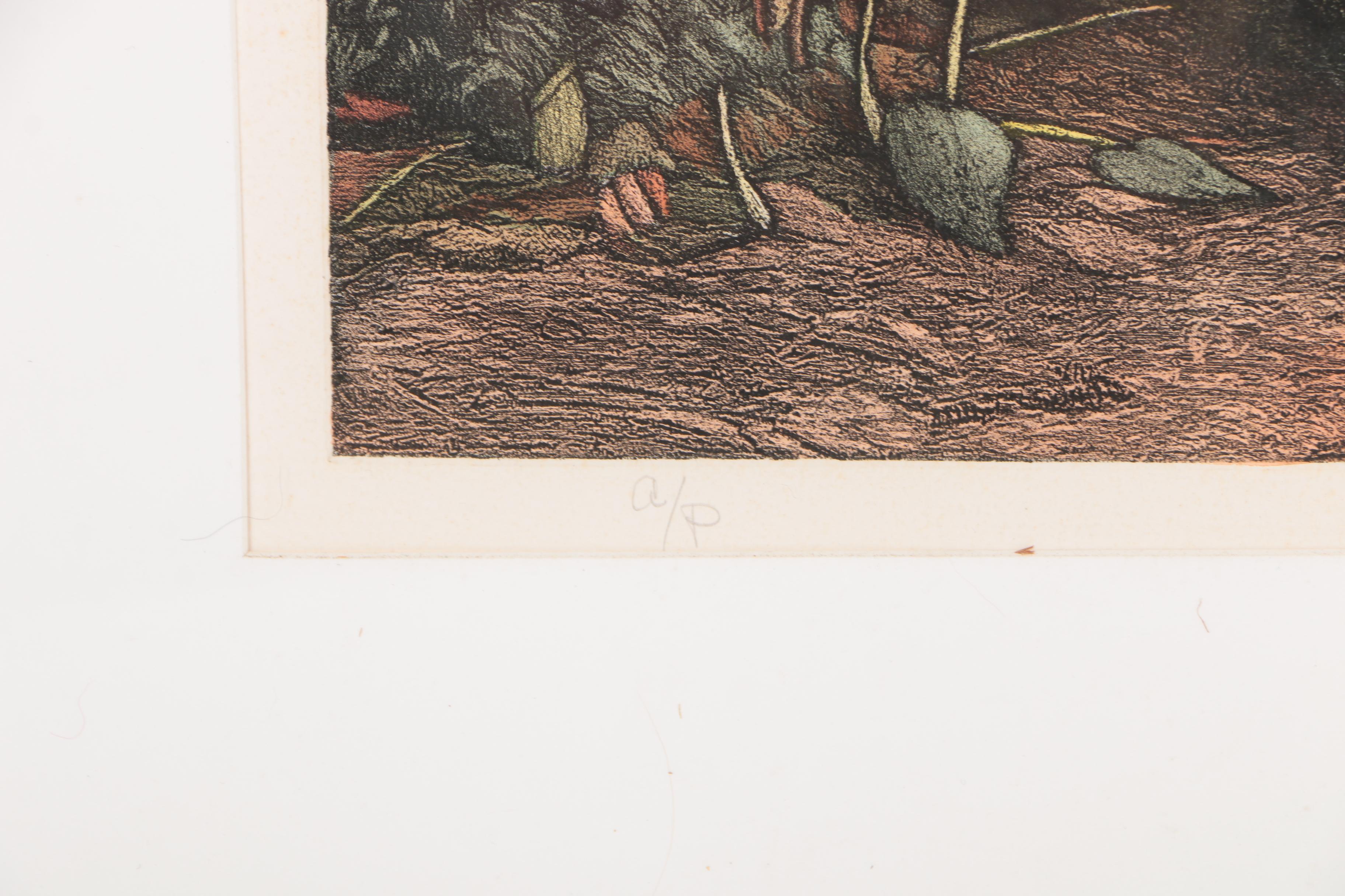 Tony Rosati 1984 Artist Proof Hand-Colored Etching "Alverthorpe Garden ...