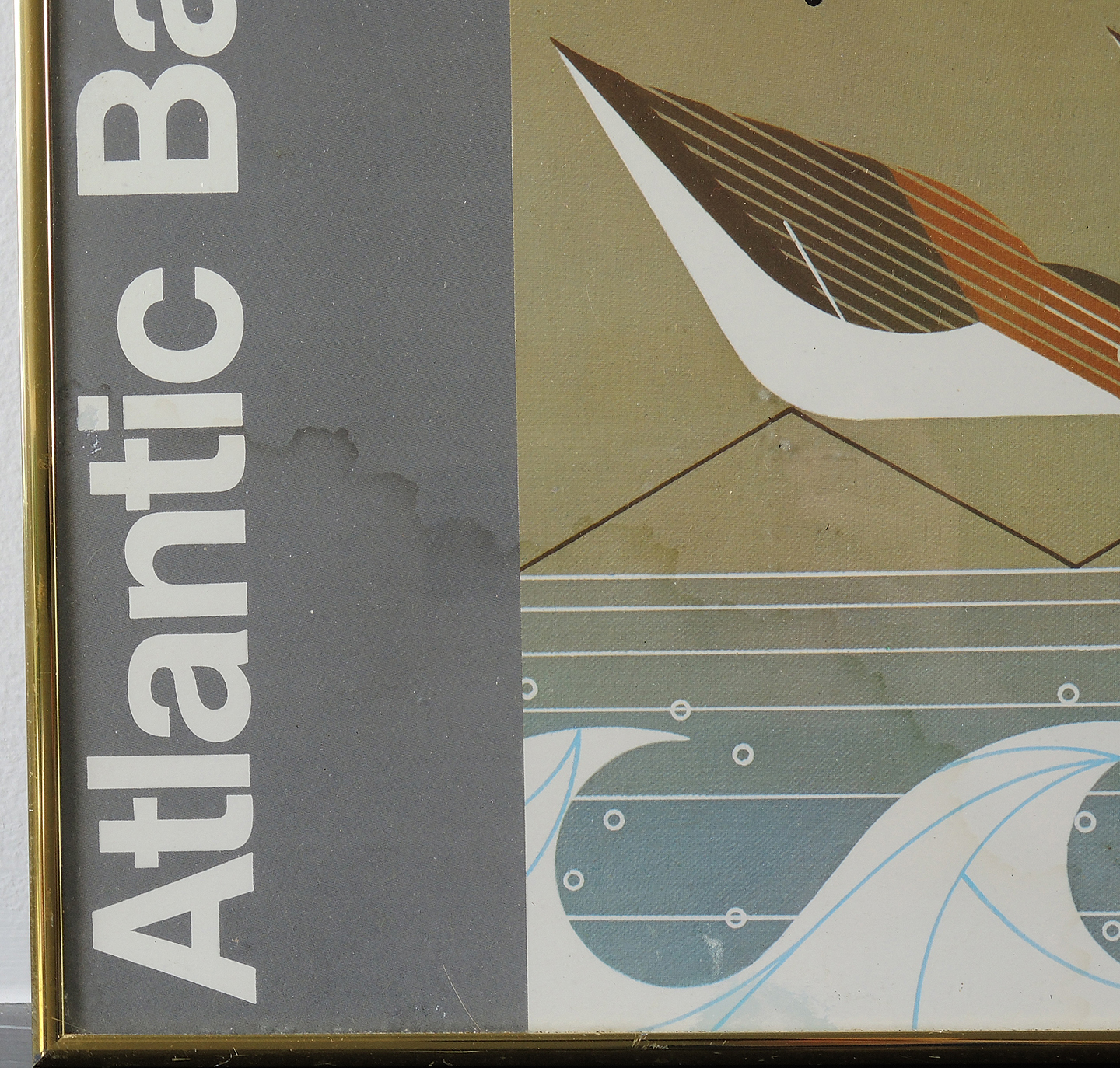 Charley Harper Posters "The Coral Reef" and "Atlantic Barrier Islands ...