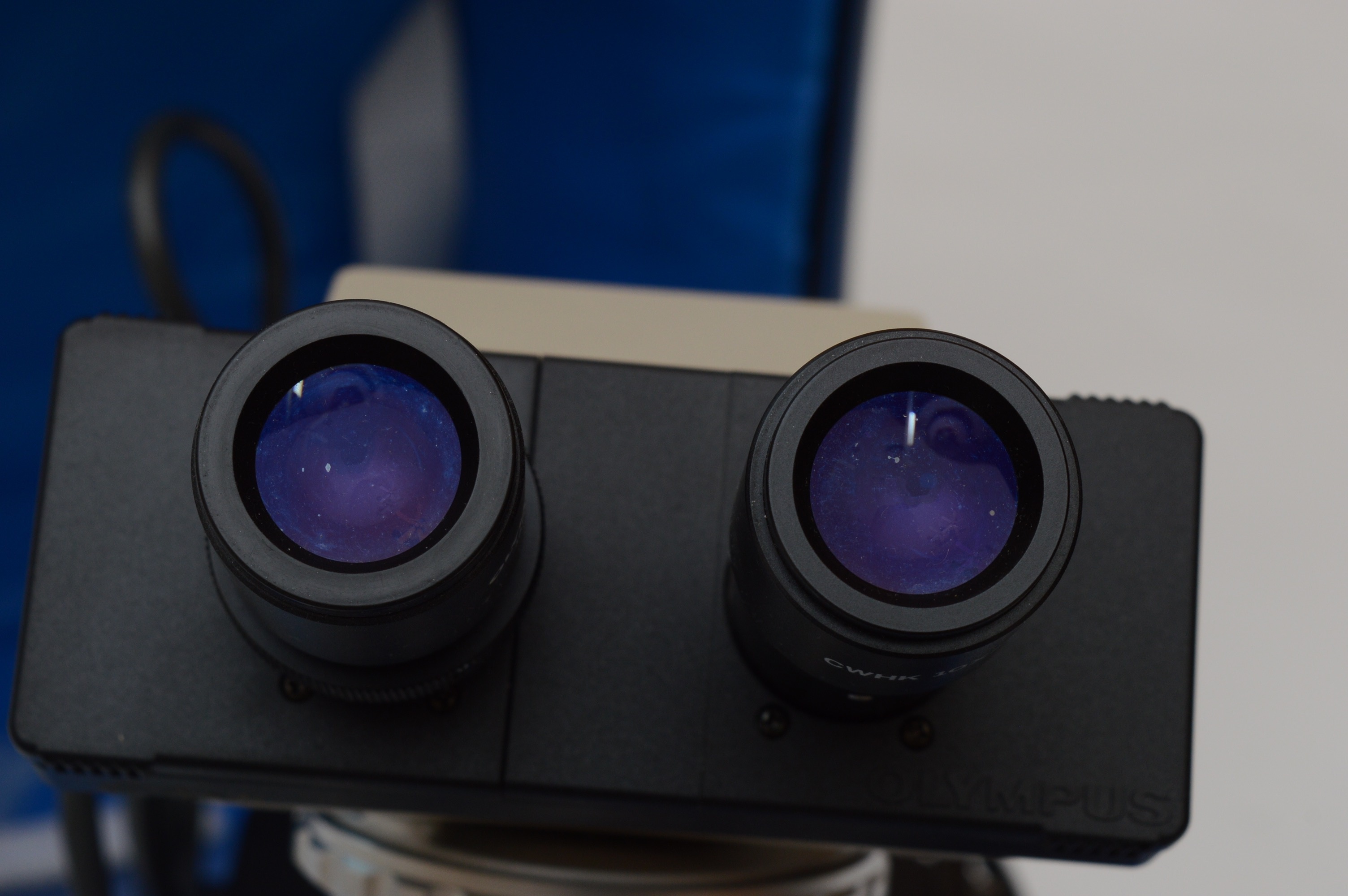 Olympus CH2 Microscope | EBTH