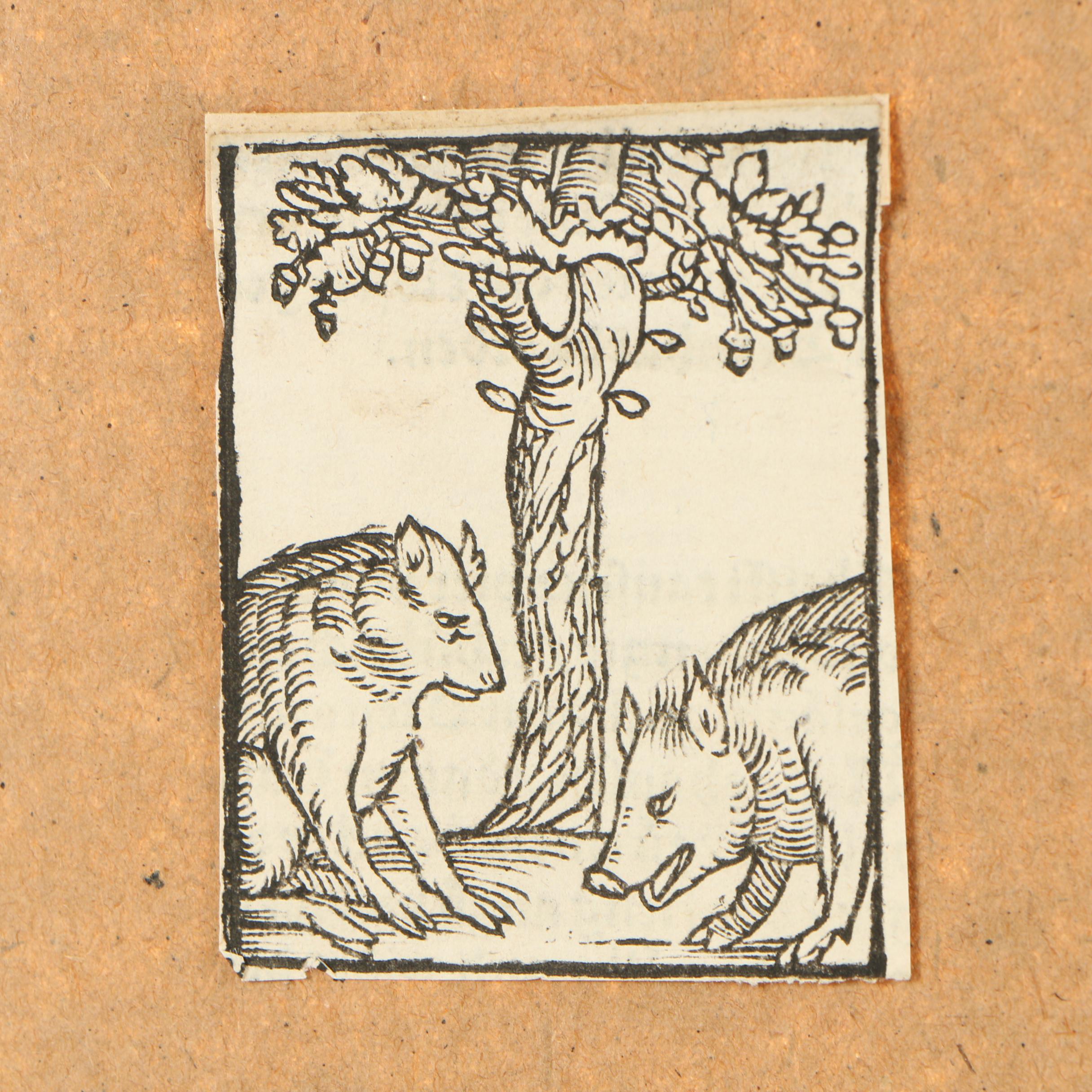 16th Century German Woodblock | EBTH