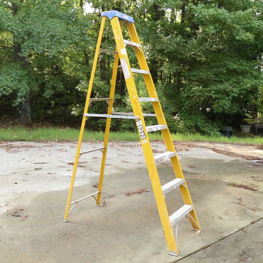 Davidson Pro 8' Step Ladder | EBTH