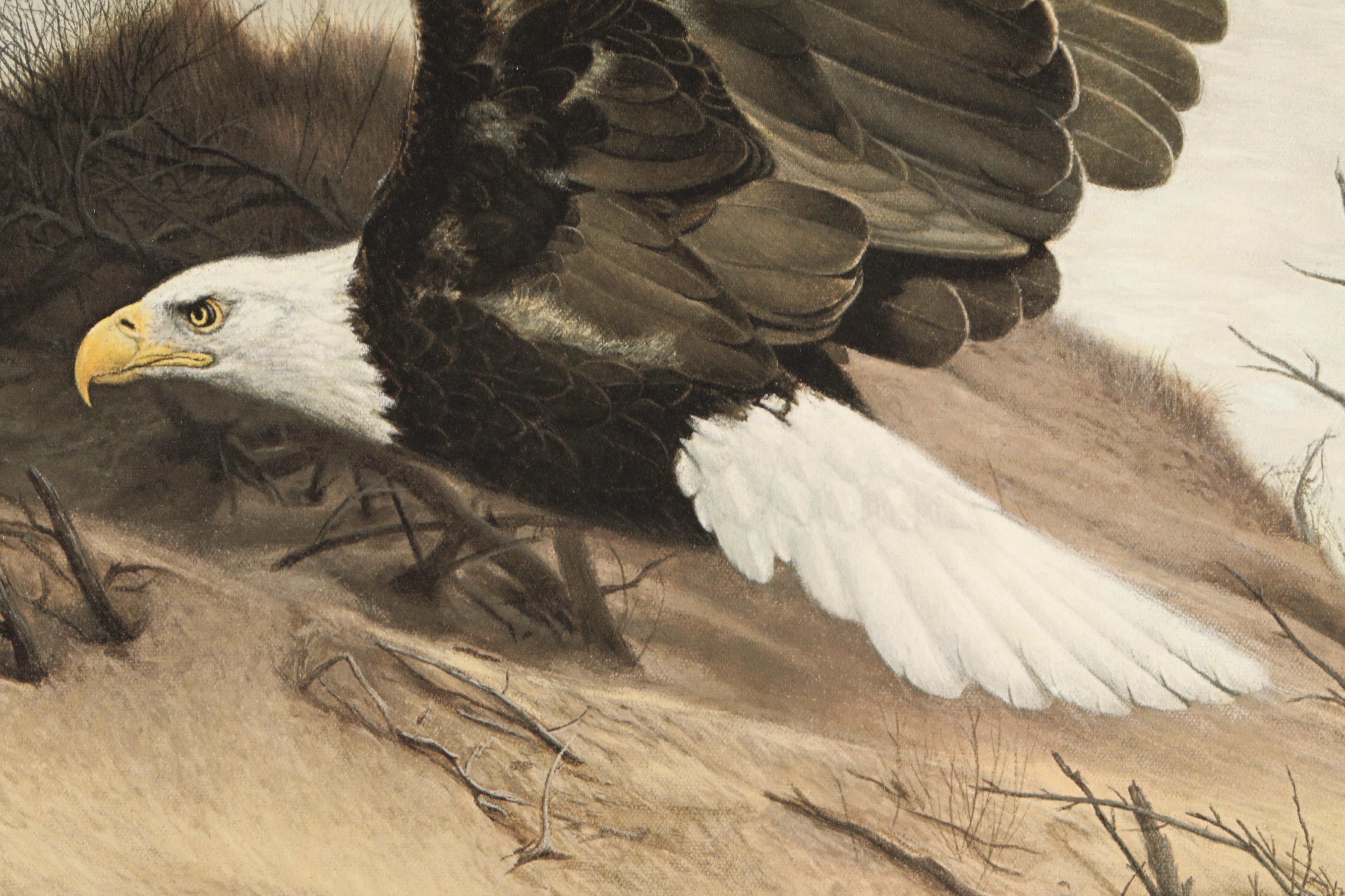 Charles Frace Limited Edition Offset Lithograph of Eagle in Flight | EBTH