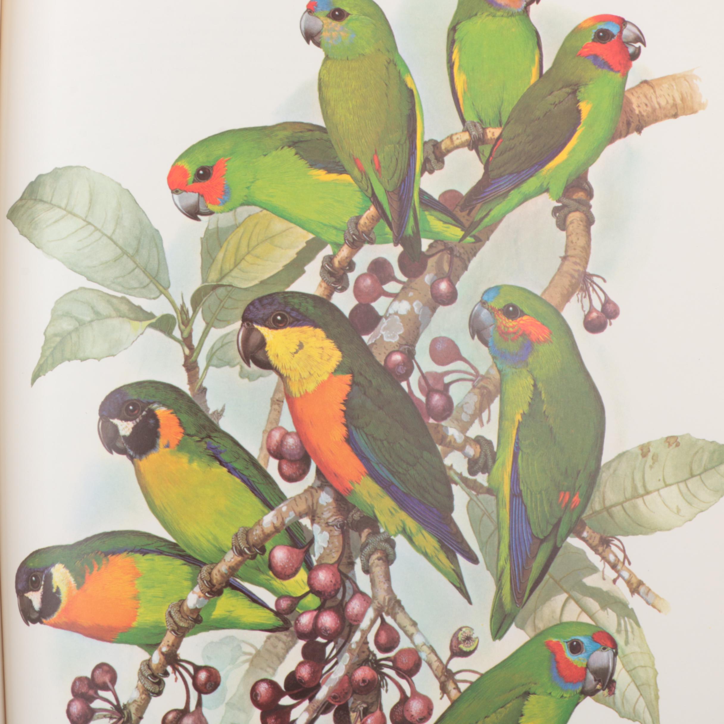 1973 "Parrots of the World" by Joseph M. Forshaw | EBTH