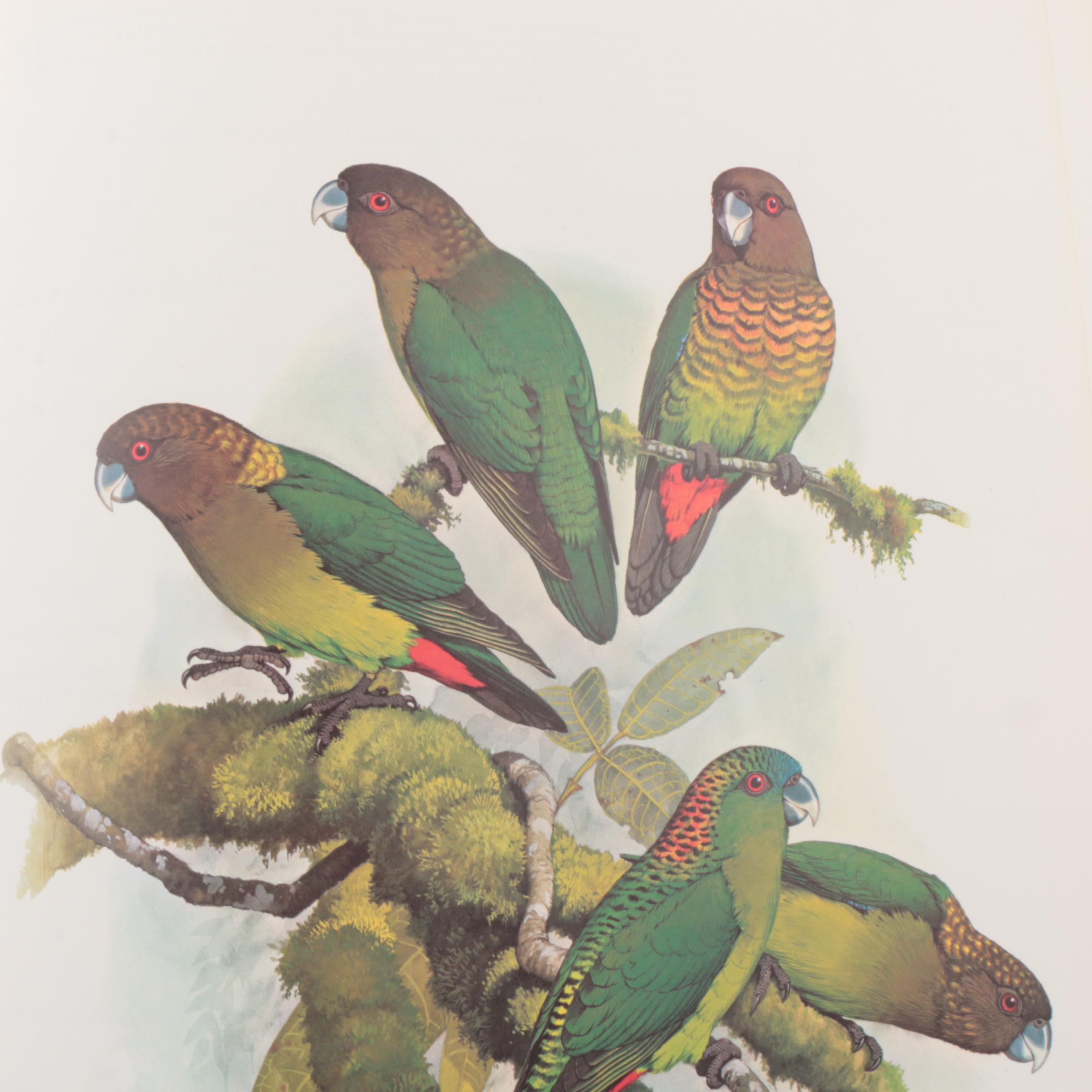 1973 "Parrots of the World" by Joseph M. Forshaw | EBTH