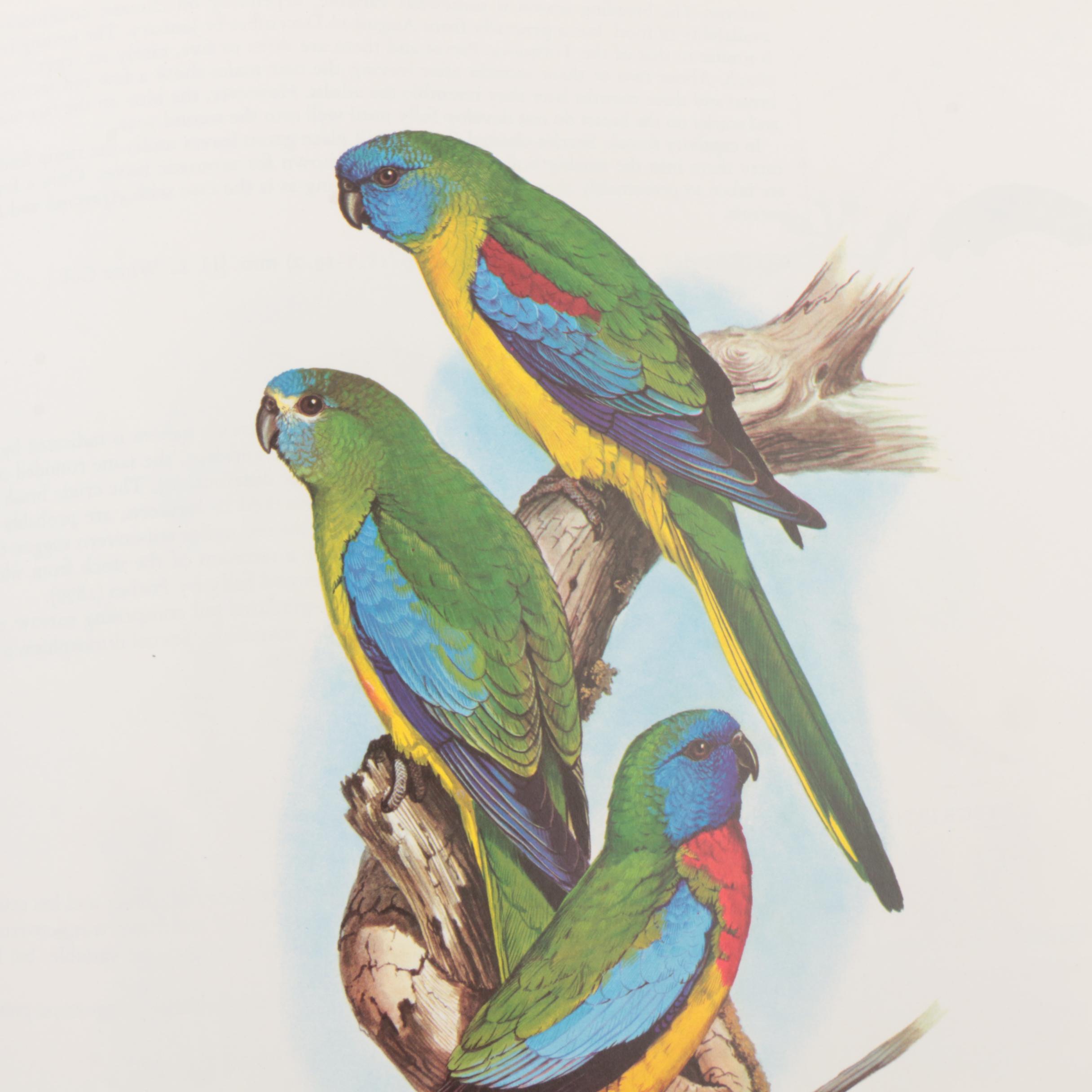 1973 "Parrots of the World" by Joseph M. Forshaw | EBTH