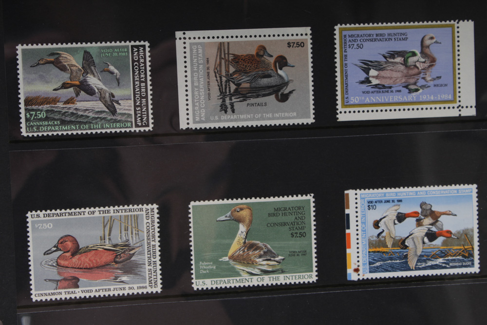Mint United States Migratory Bird Hunting Stamps from 1935 Through 2005 ...