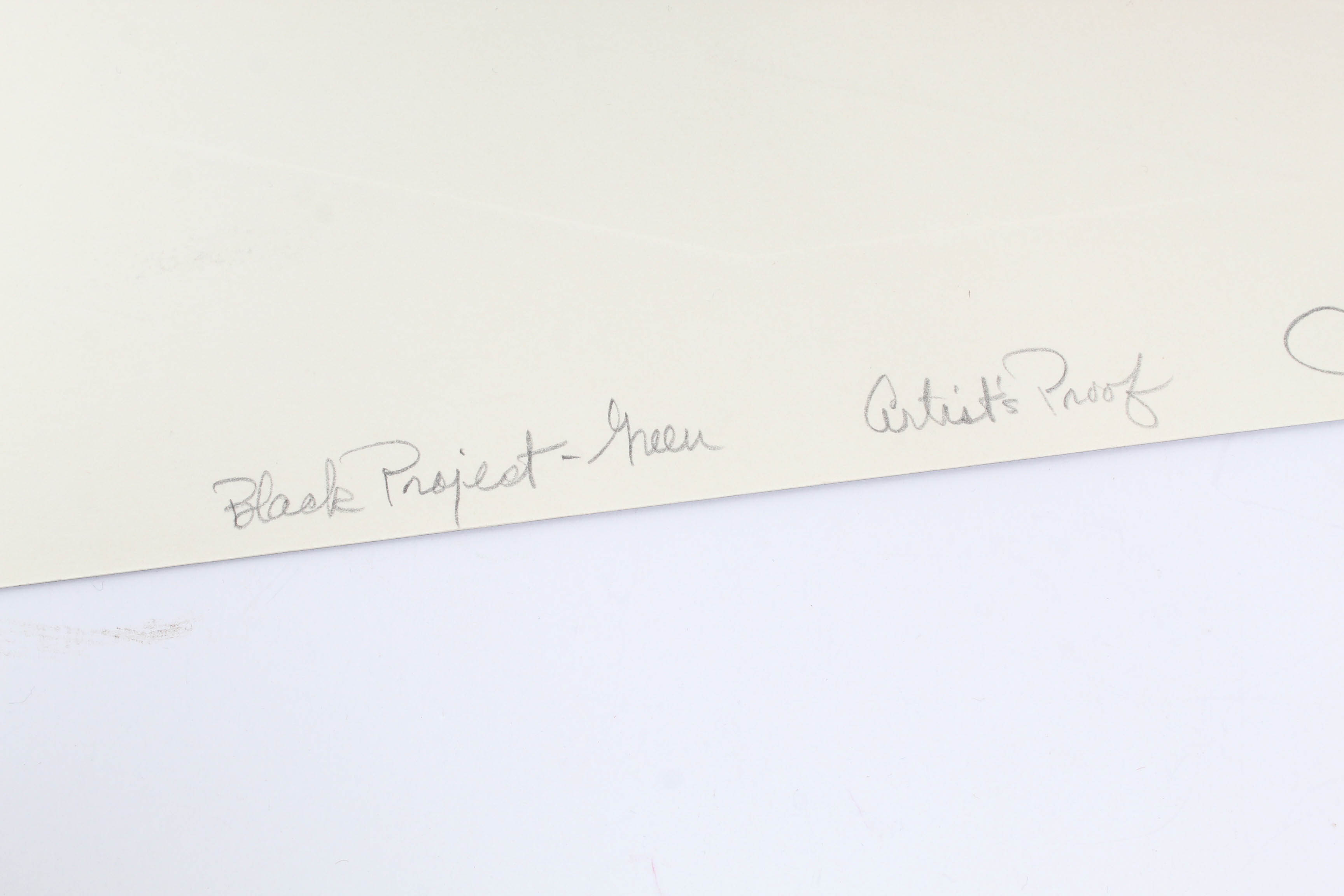 Donald Roberts Op Art Serigraph on Embossed Paper "Black Project ...