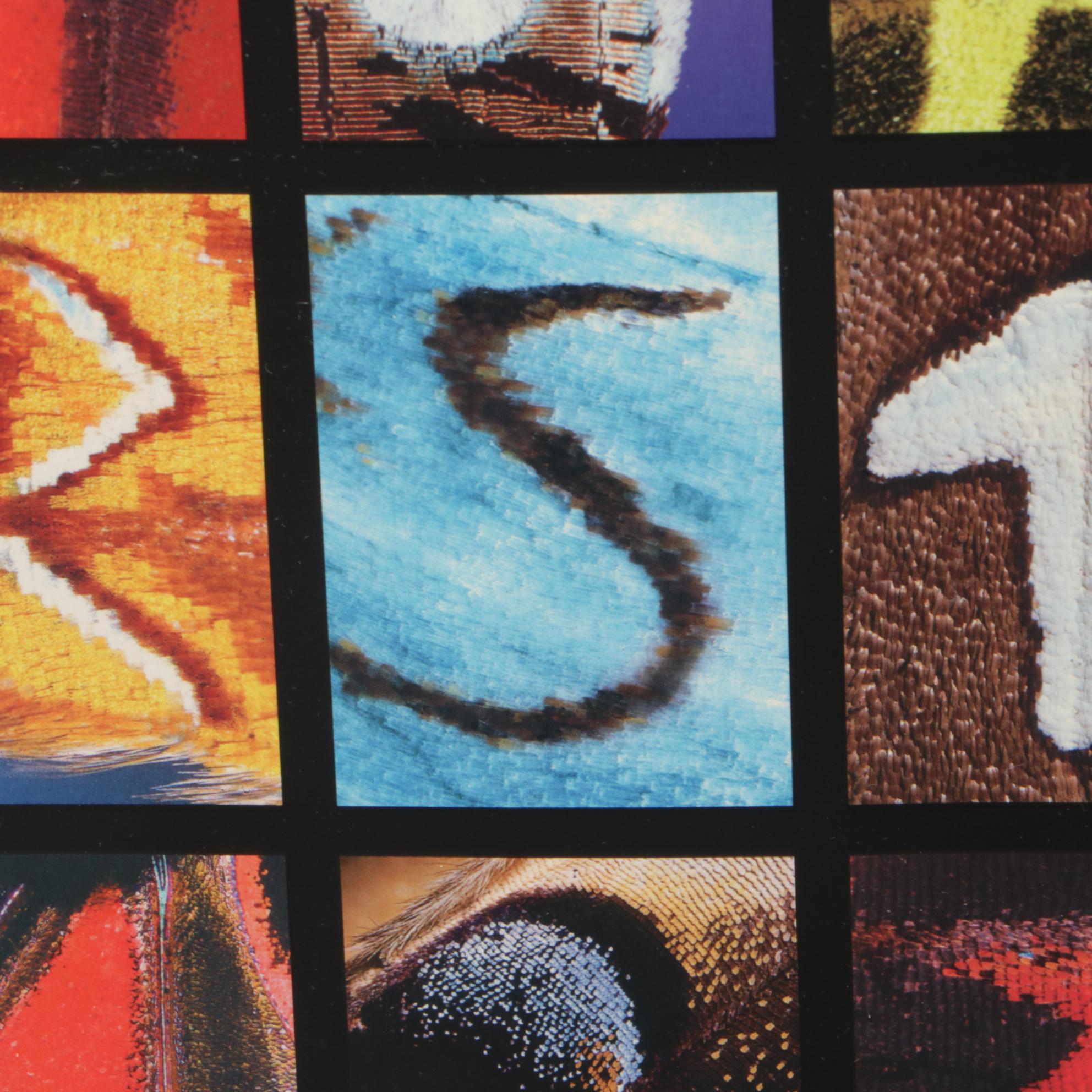 Offset Lithograph after Kjell B. Sandved "Butterfly Alphabet" | EBTH