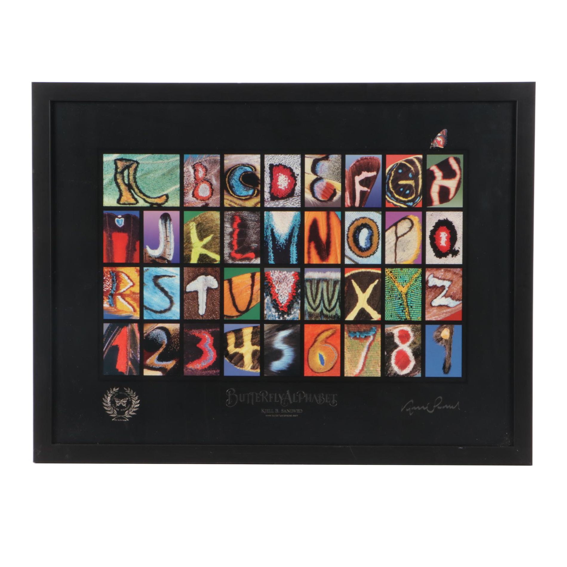 Offset Lithograph after Kjell B. Sandved "Butterfly Alphabet" | EBTH