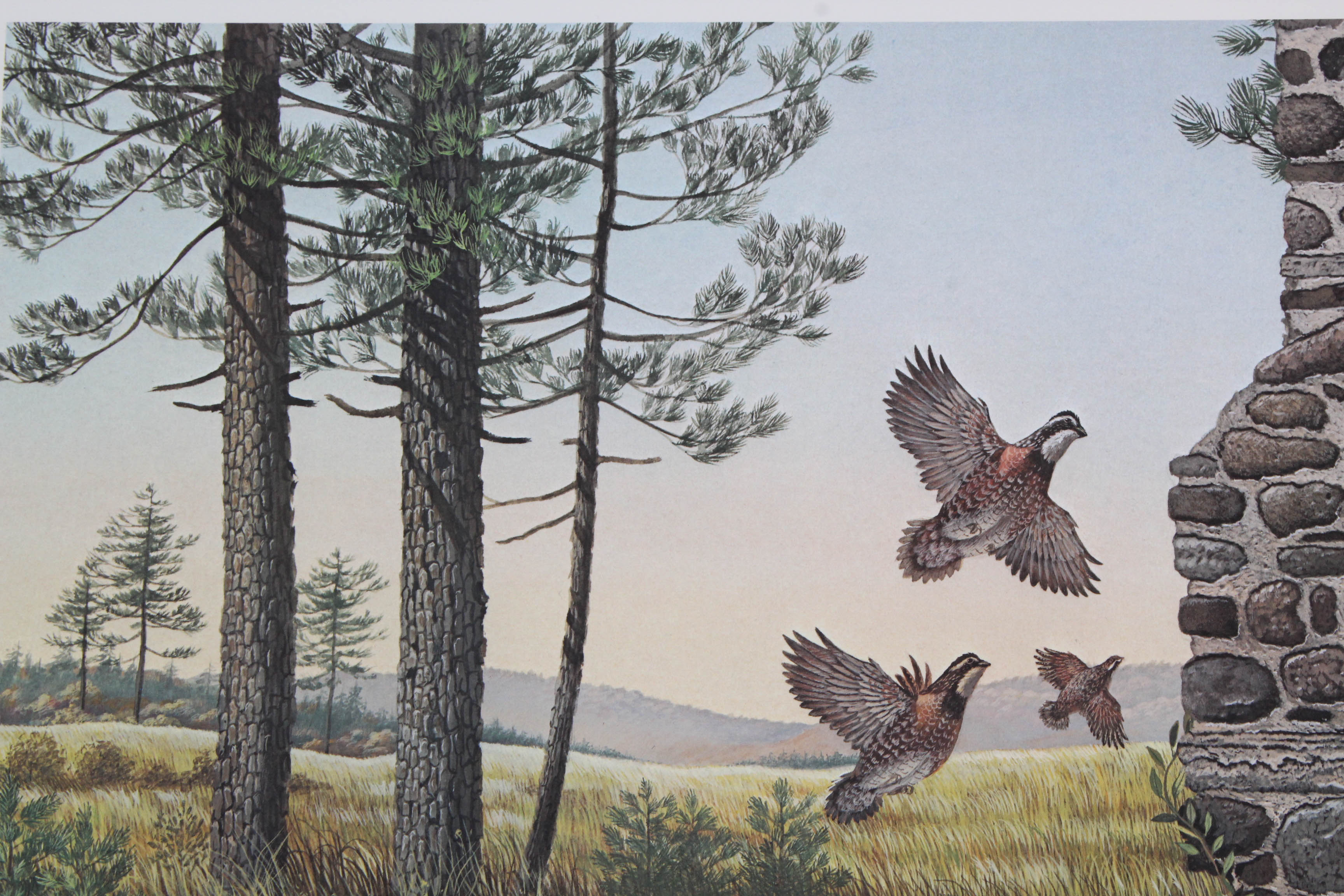 Don Balke Limited Edition Print "Autumn Day" | EBTH