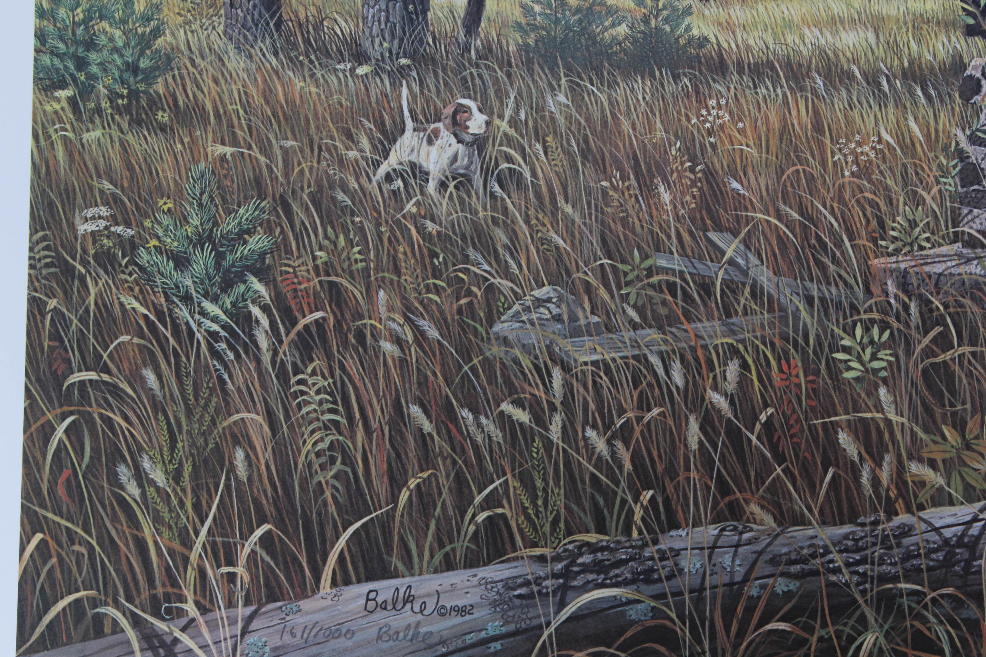 Don Balke Limited Edition Print "Autumn Day" | EBTH