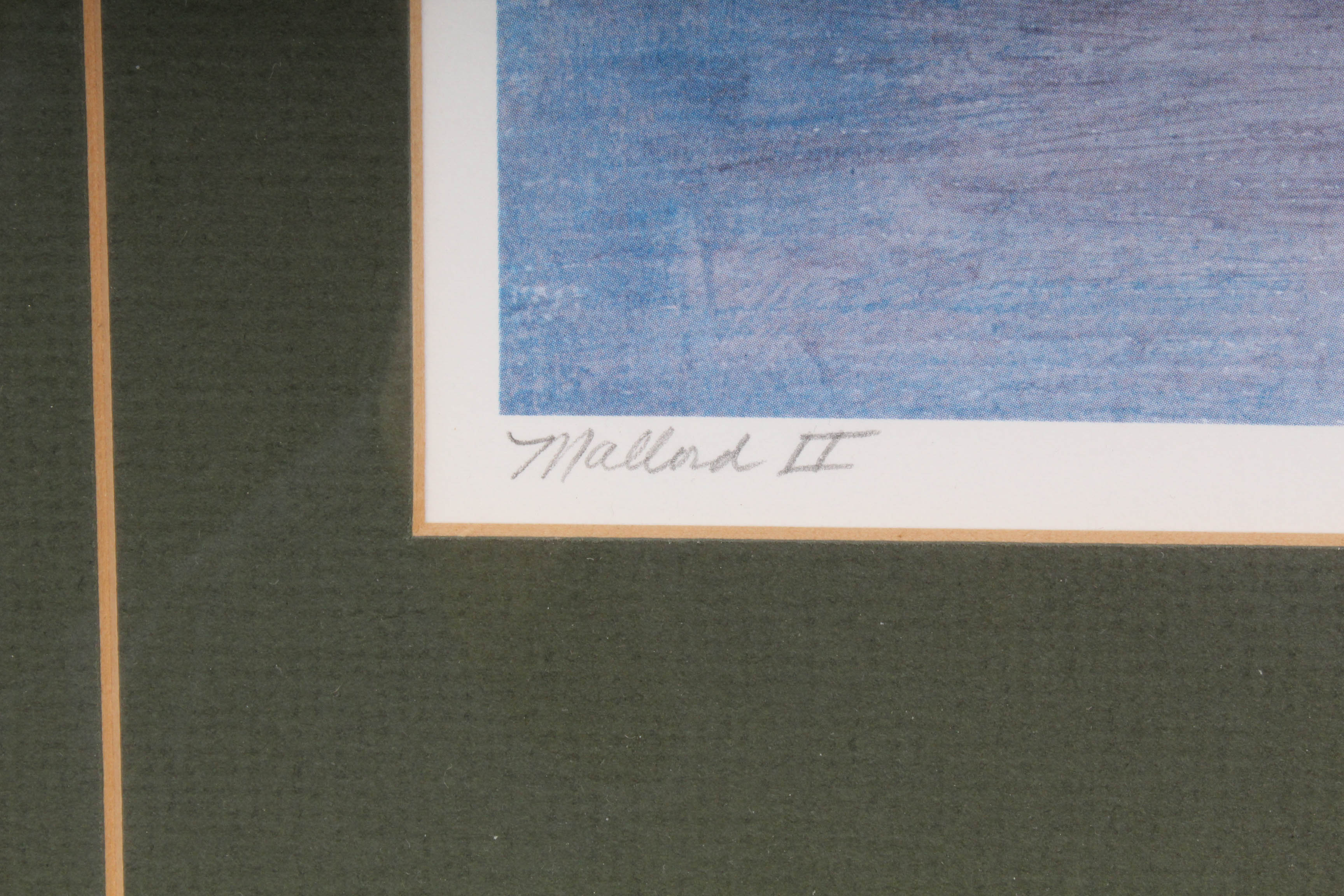 Pat Whipp Offset Lithograph Duck Prints with Original Drawings | EBTH