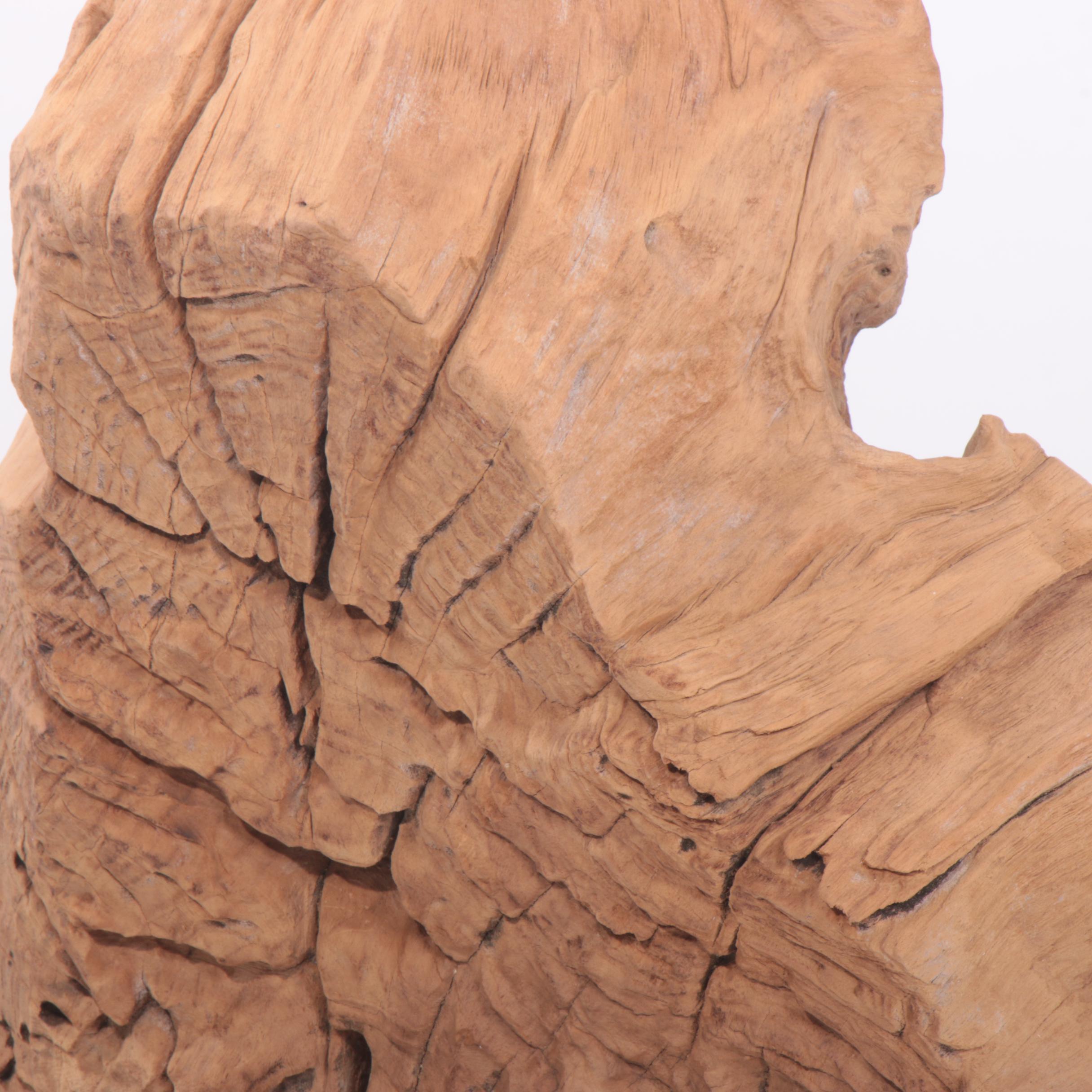 Indonesian Teak Root Slab on Base | EBTH