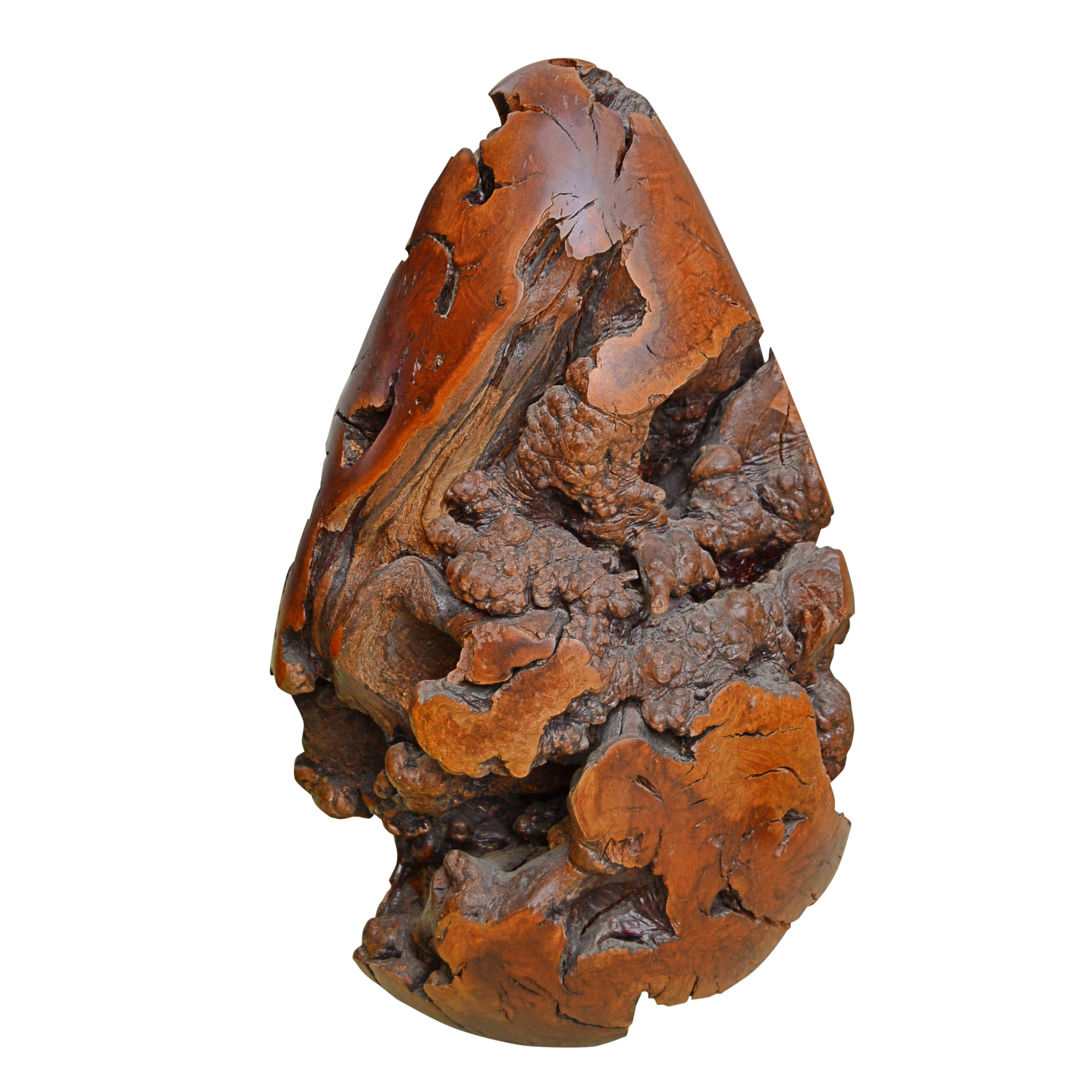 Signed Manzanita Root Burl Sculpture | EBTH
