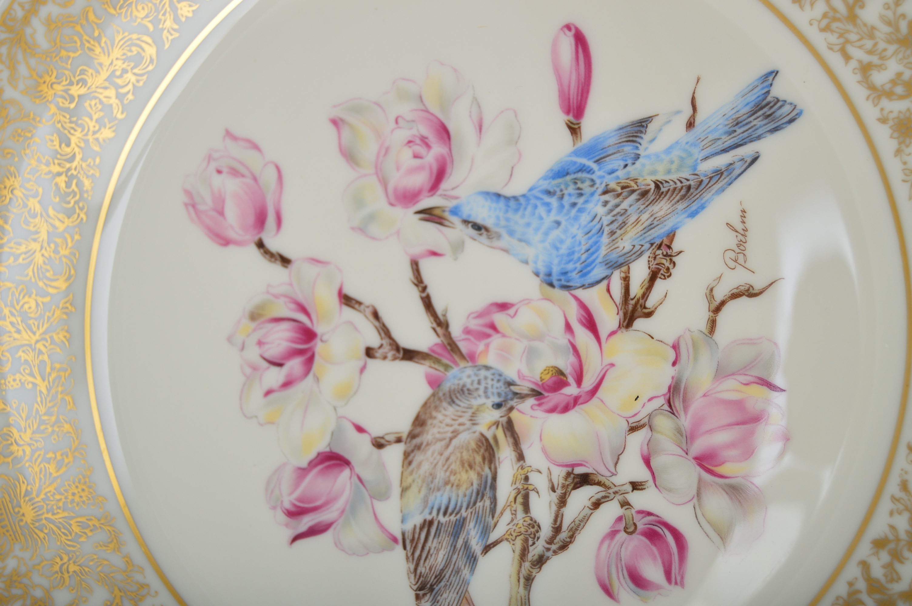Set of Twelve Lenox Limited Edition Collectible Porcelain Bird Plates ...
