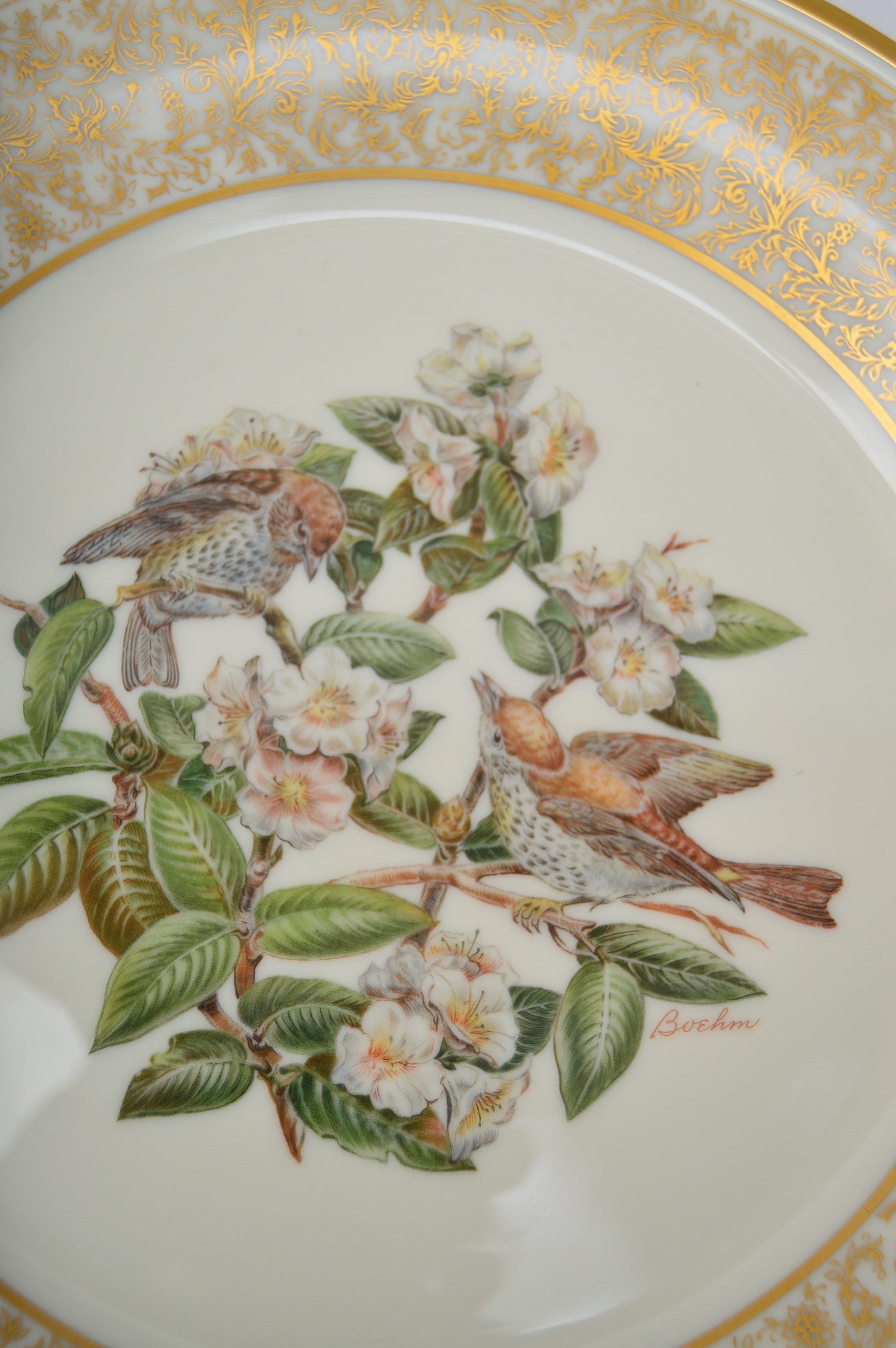 Set of Twelve Lenox Limited Edition Collectible Porcelain Bird Plates ...